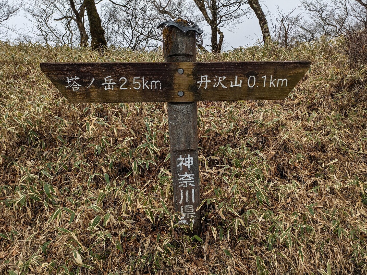 丹沢山手前0.1kmの所にﾁｪﾝｽﾊﾟ忘れてるよ 丹沢ﾄﾚｰﾆﾝｸﾞ⑤ Challenge2400 ﾋﾙﾄﾝ / ビビビのおっ師匠はんさんの塔ノ岳・丹沢山・蛭ヶ岳の活動データ | YAMAP ...