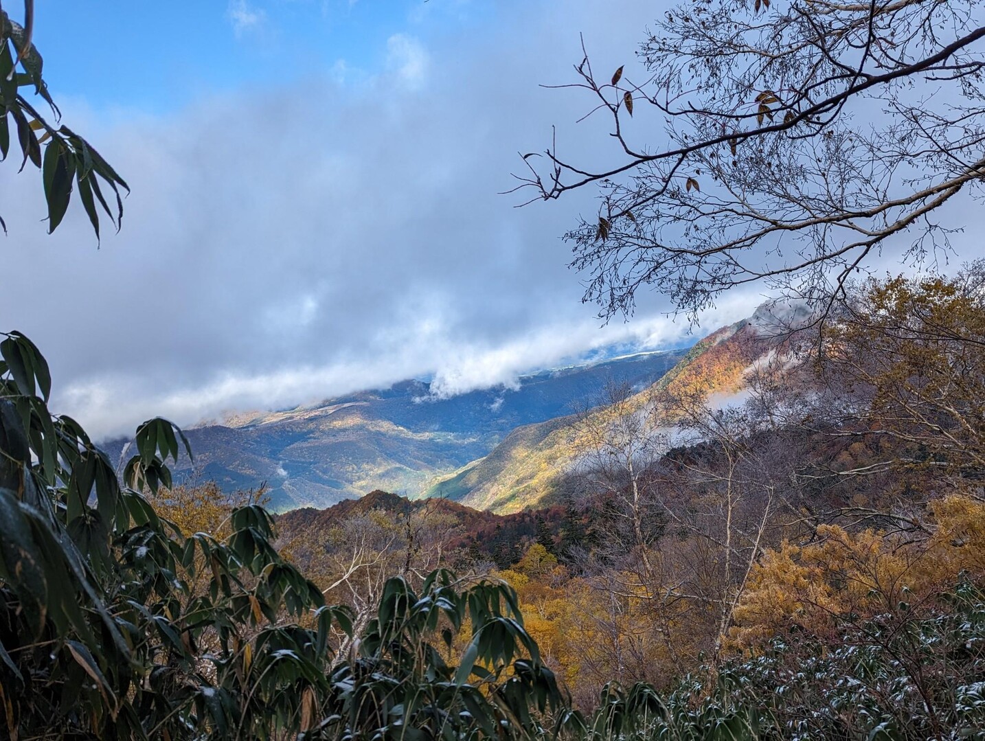苗場山 / ko-riさんの苗場山・赤倉山・佐武流山の活動データ | YAMAP / ヤマップ