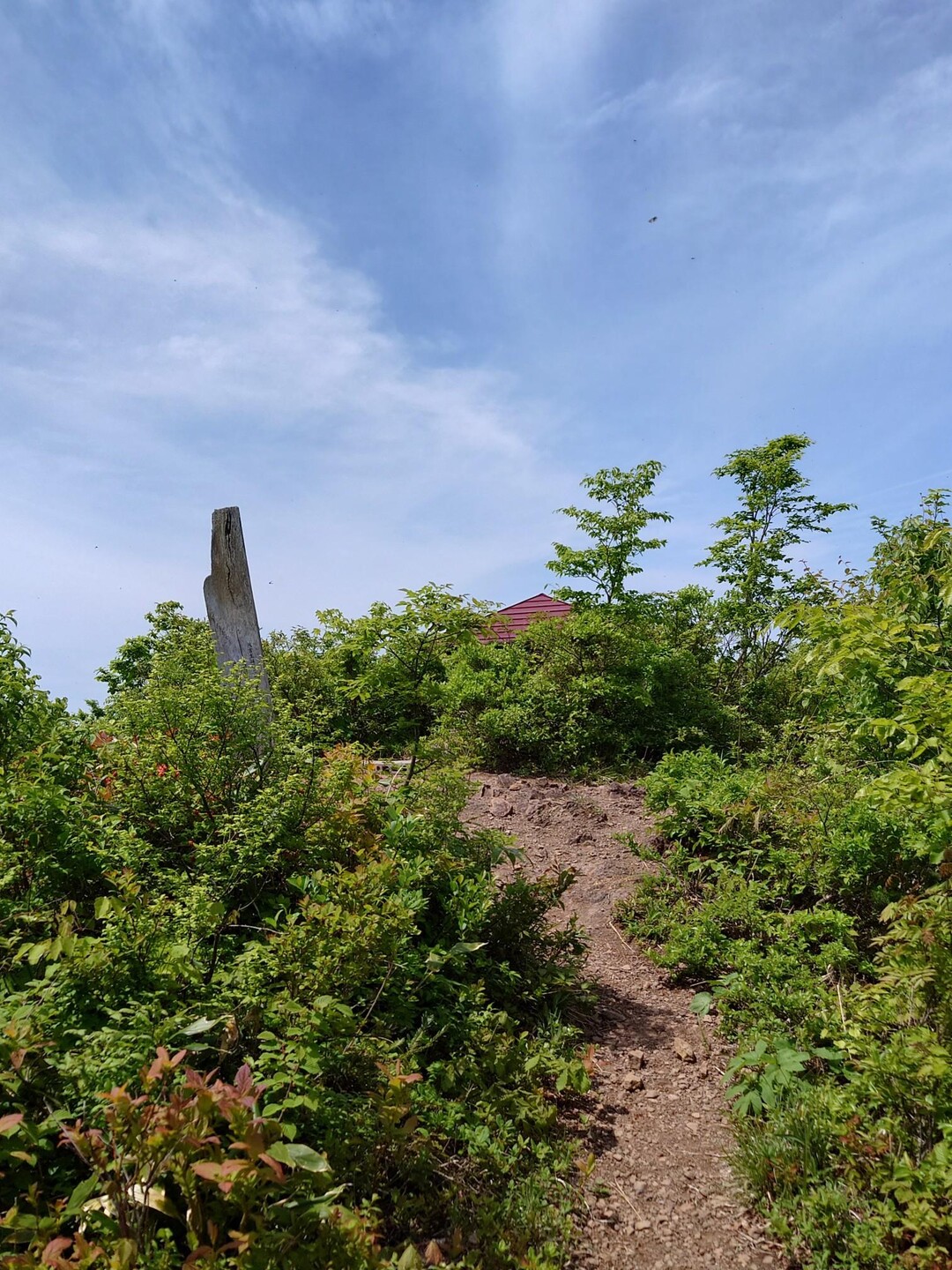 瀧山 前滝コース / rukyさんの蔵王山・雁戸山・不忘山の活動データ | YAMAP / ヤマップ
