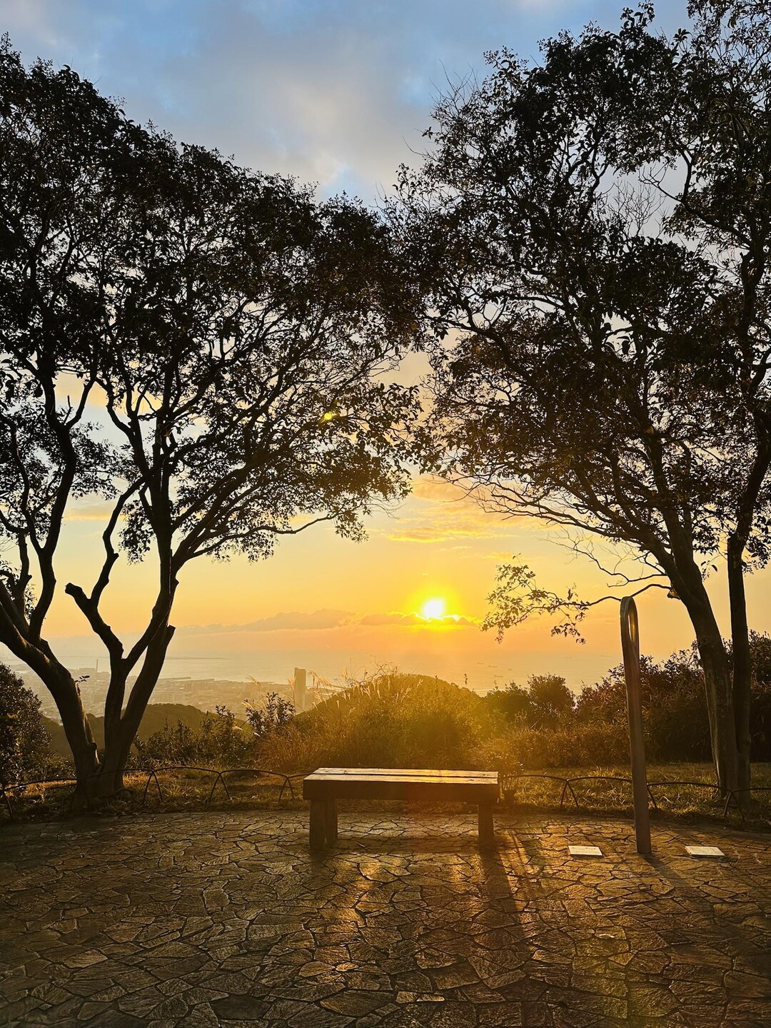 2024 ラスト登山 須磨アルプス〜高取山 / MINAMIさんの六甲山・長峰山・摩耶山の活動データ | YAMAP / ヤマップ