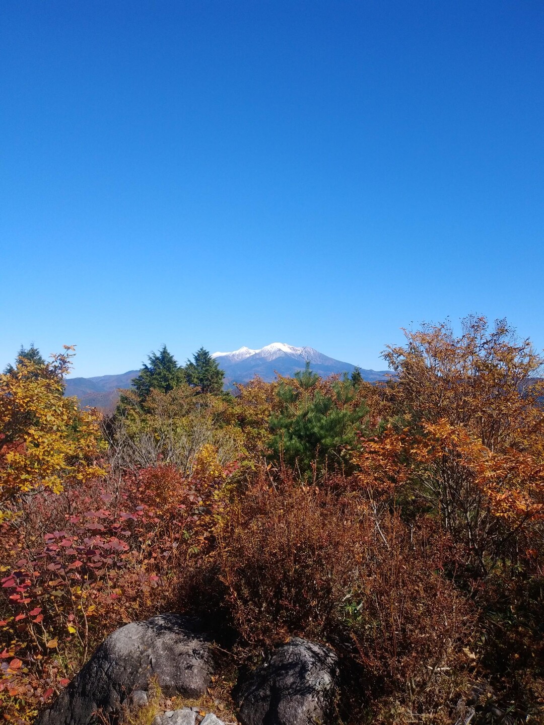 下呂御前山 / Kumajun_216さんの白草山・寺田小屋山の活動データ | YAMAP / ヤマップ