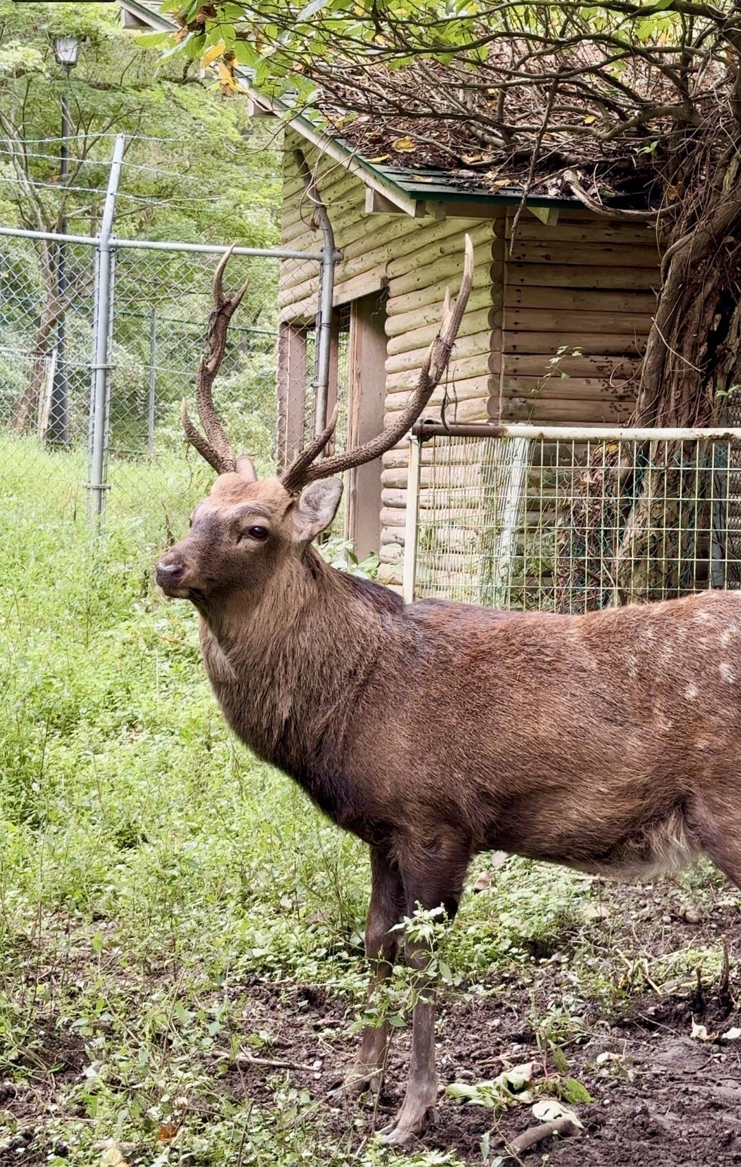 見分森公園🌳 / 𝓀𝓊𝓂𝒾 さんのウォーキングの活動データ | YAMAP / ヤマップ