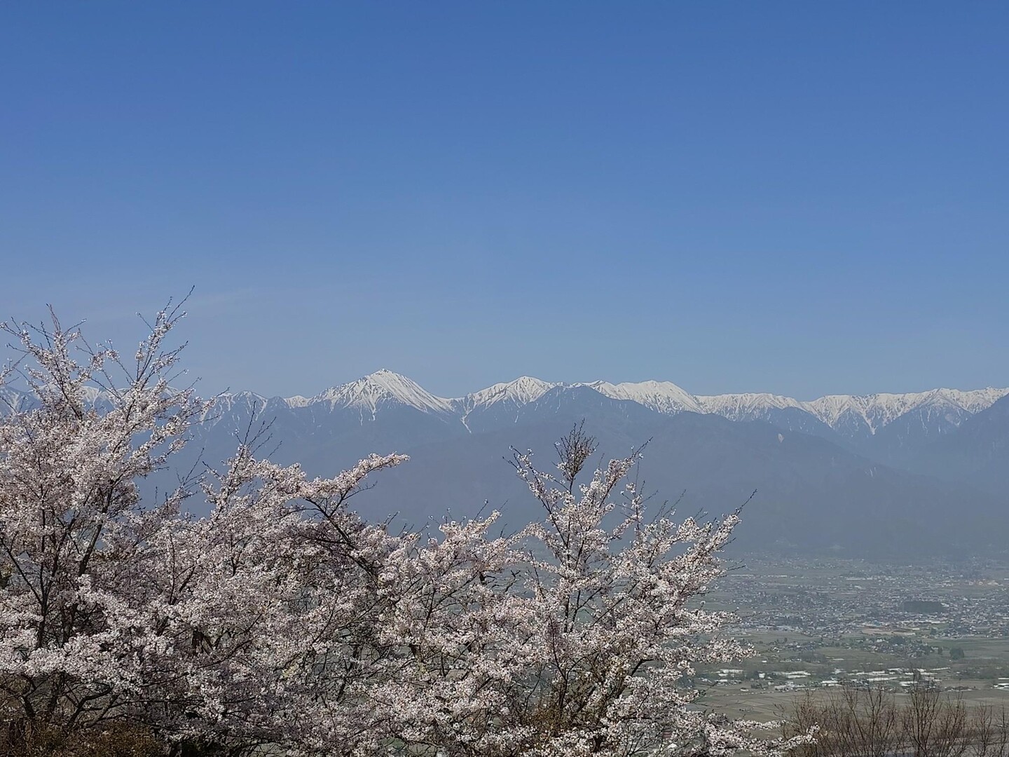 桜🌸満開 大混雑の光城山 / 2543mさんの光城山・長峰山の活動データ | YAMAP / ヤマップ
