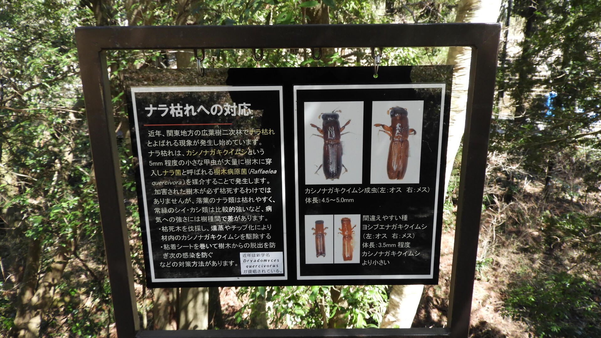 YAMAPのSW-onを失念したので、モ... / 後藤文蔵さんのモーメント | YAMAP / ヤマップ