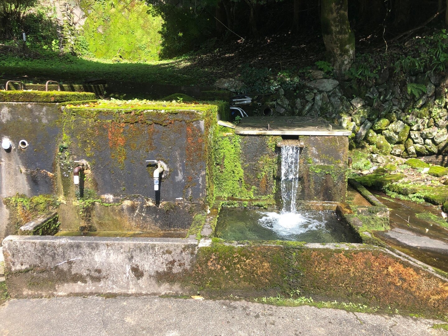 hiro:nさんの投稿したフィールドメモ | YAMAP / ヤマップ