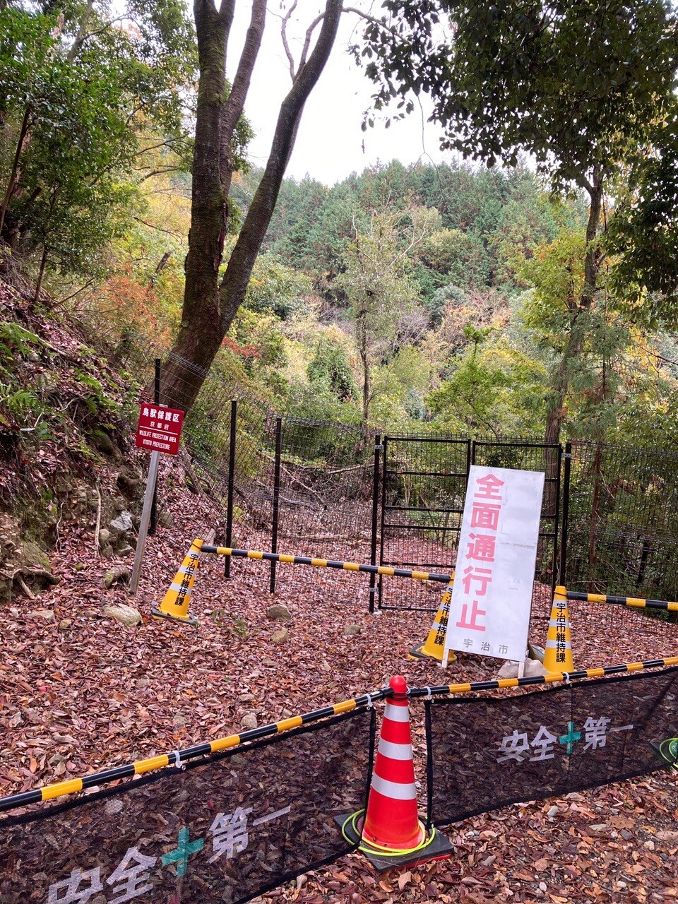 kenさんの投稿したフィールドメモ | YAMAP / ヤマップ