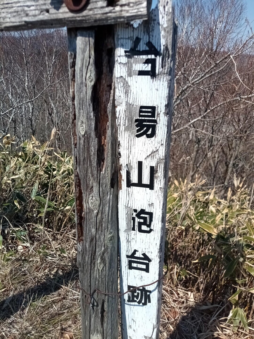 NTTルートからの台場山 / 55さんの台場山の活動データ | YAMAP / ヤマップ