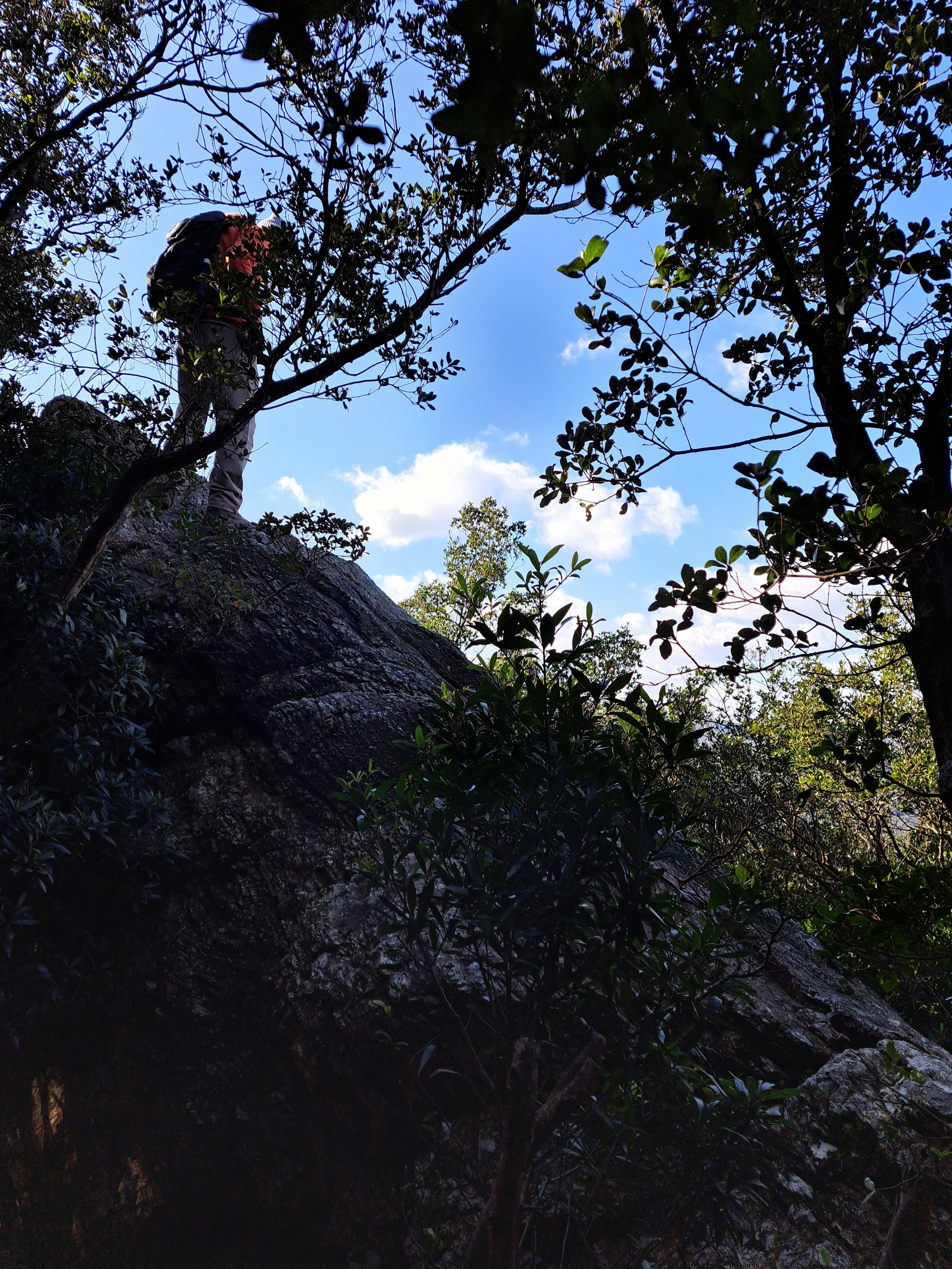 てんぼう岩から / TAKE さんのモーメント | YAMAP / ヤマップ