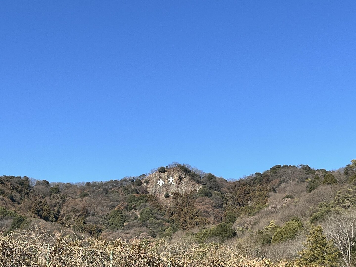 2025初登り⛰️大小山・妙義山 / yuriさんの大小山（妙義山）・西場富士の活動データ | YAMAP / ヤマップ