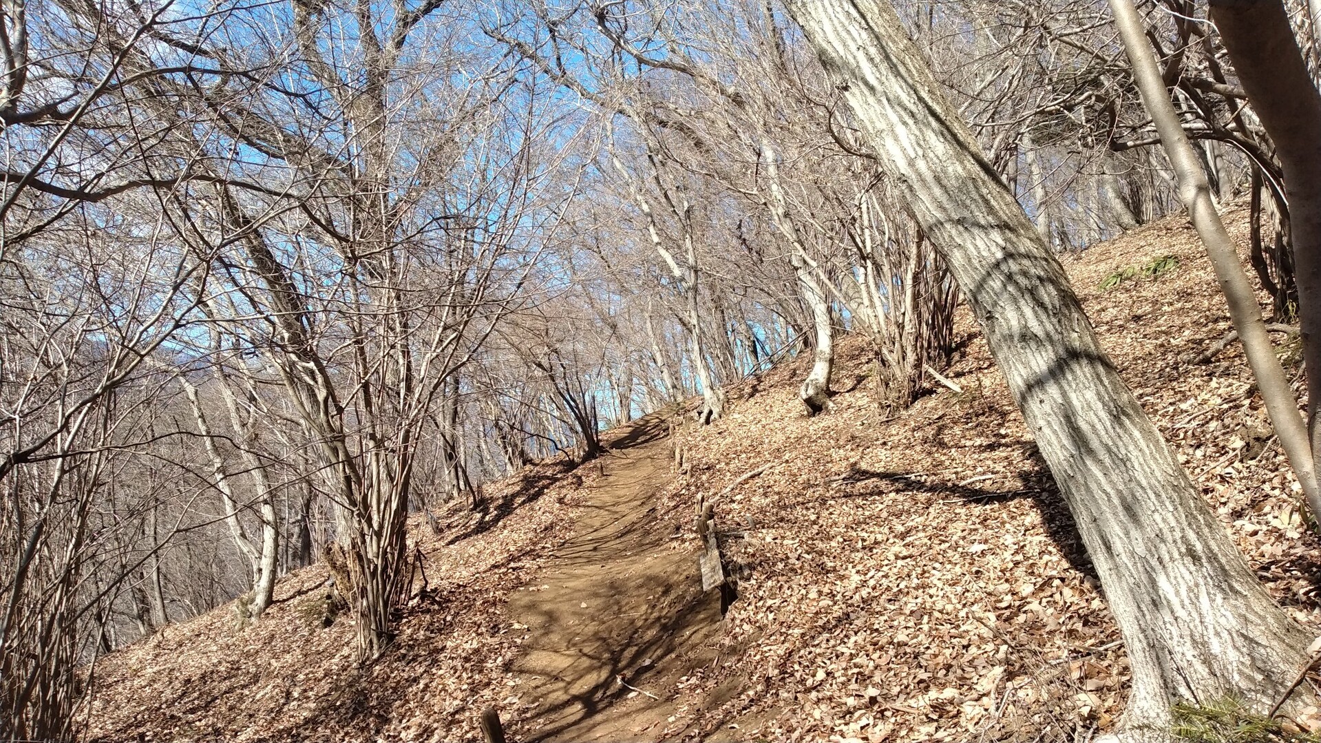 Nero-Piさんの投稿したフィールドメモ | YAMAP / ヤマップ