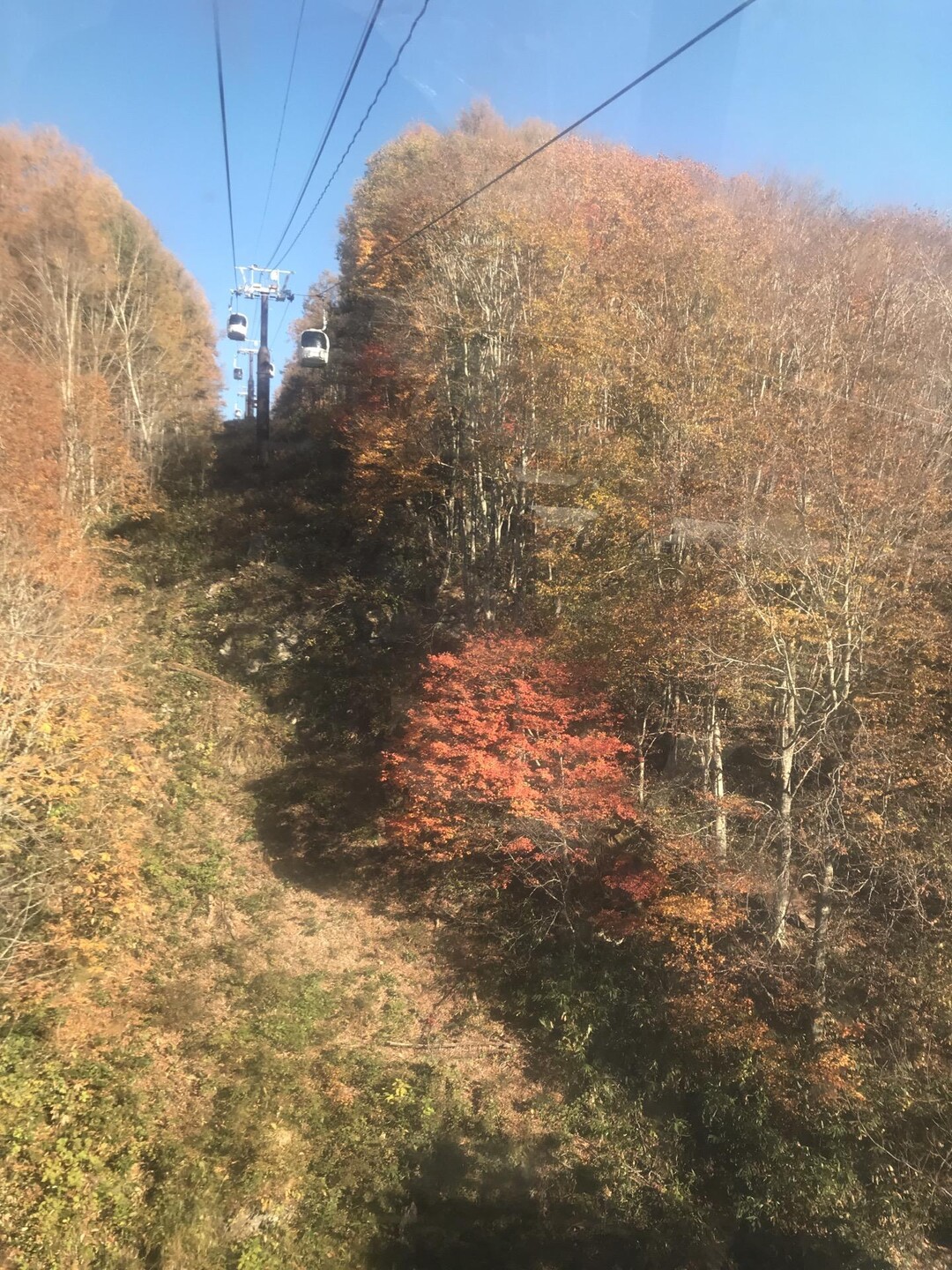 西大巓・西吾妻山 vo.22 / くみさんの吾妻山・一切経山の活動データ | YAMAP / ヤマップ