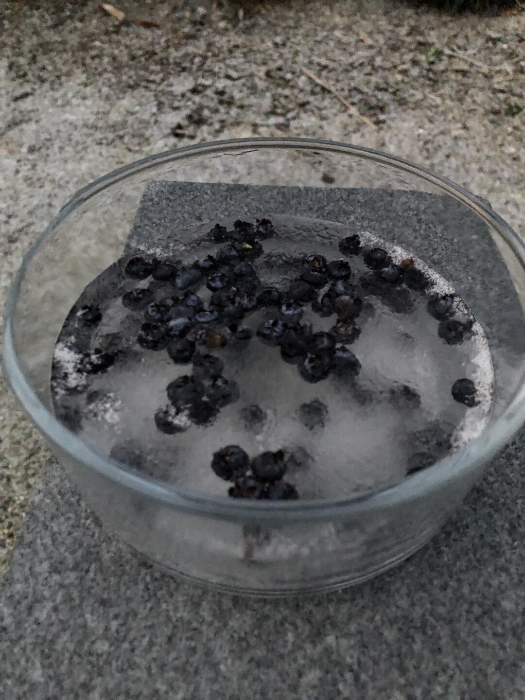 今朝が一番の冷え込み ブルーベリー氷🧊... / SCORE さんのモーメント | YAMAP / ヤマップ