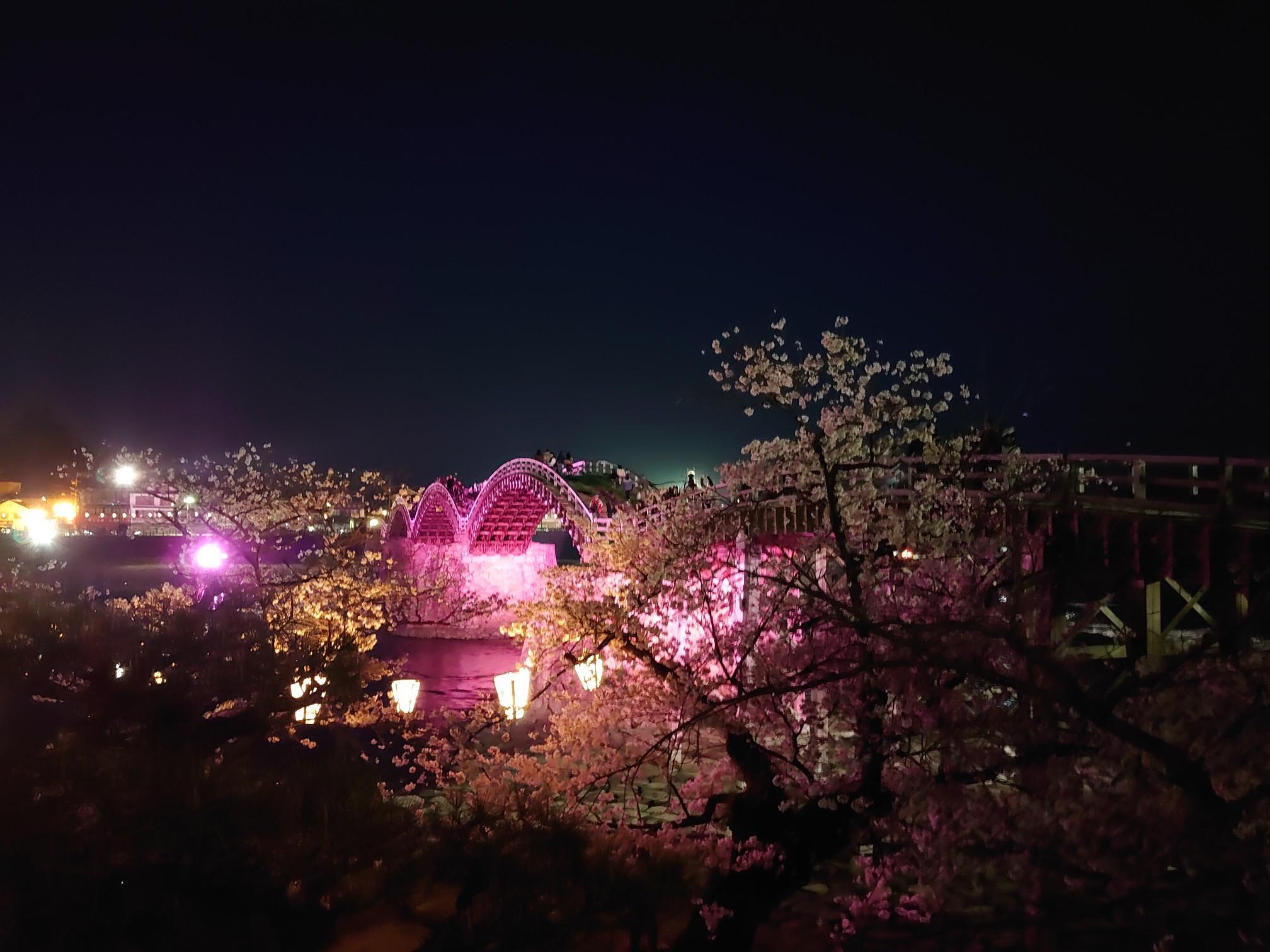 山口県岩国市夜の錦帯橋https://y... / AKIさんのモーメント | YAMAP / ヤマップ