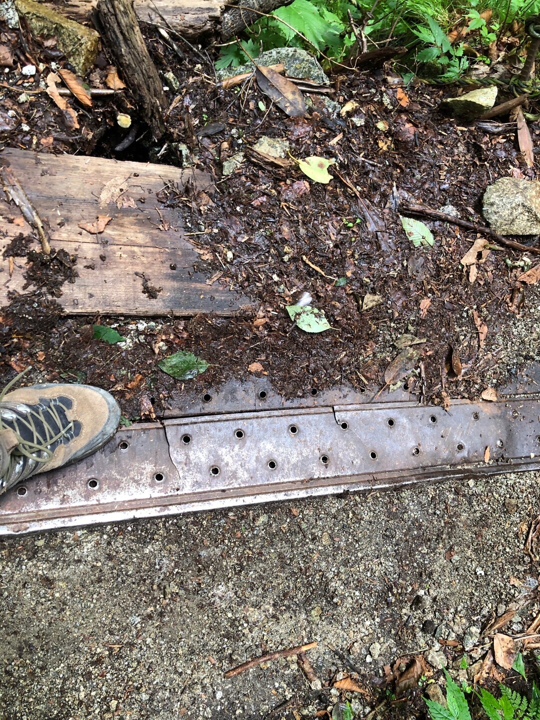 yukiさんの投稿したフィールドメモ | YAMAP / ヤマップ