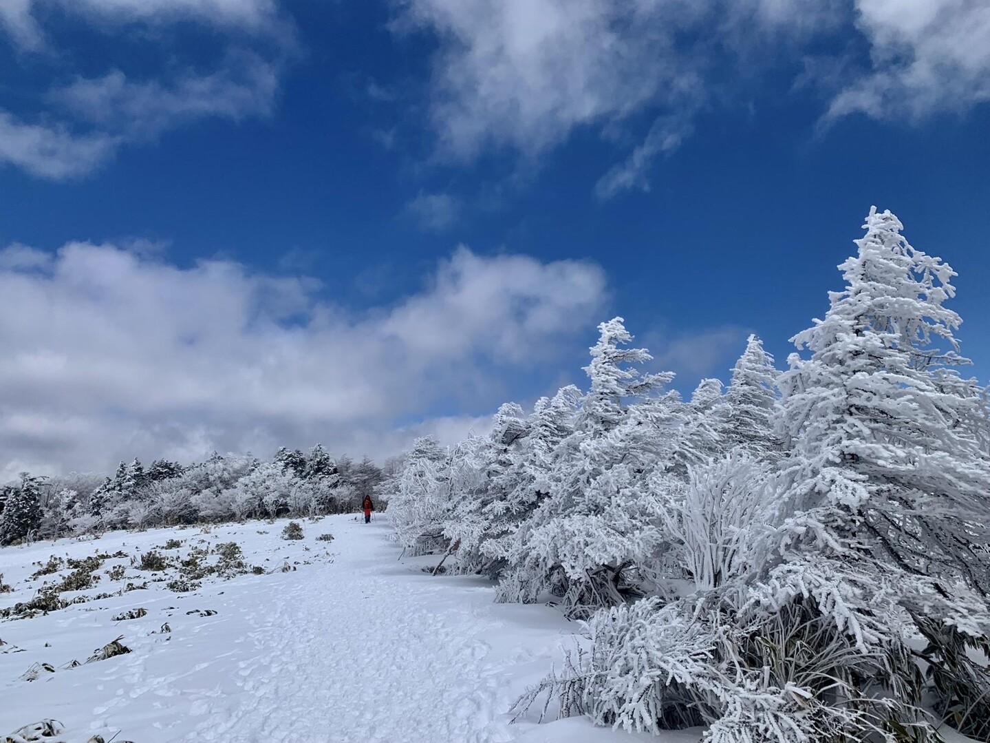 '23レースシーズン開幕前に一登り⛰南沢山・横川山 / Y45Uさんの恵那山・大判山・神坂山の活動データ | YAMAP / ヤマップ