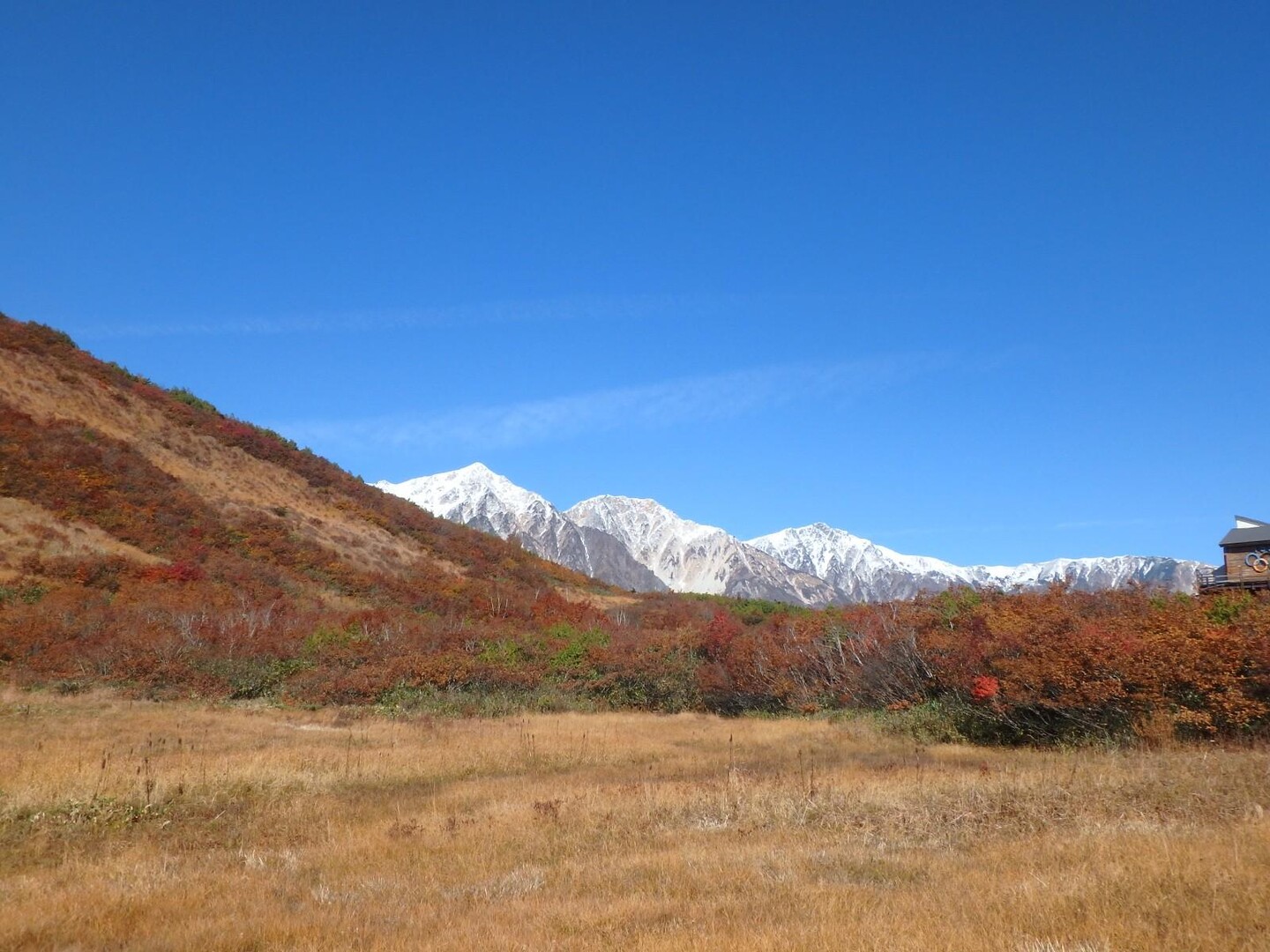 青空と雪と紅葉🍁唐松岳 / lemonさんの鹿島槍ヶ岳・五竜岳（五龍岳）・唐松岳の活動データ | YAMAP / ヤマップ