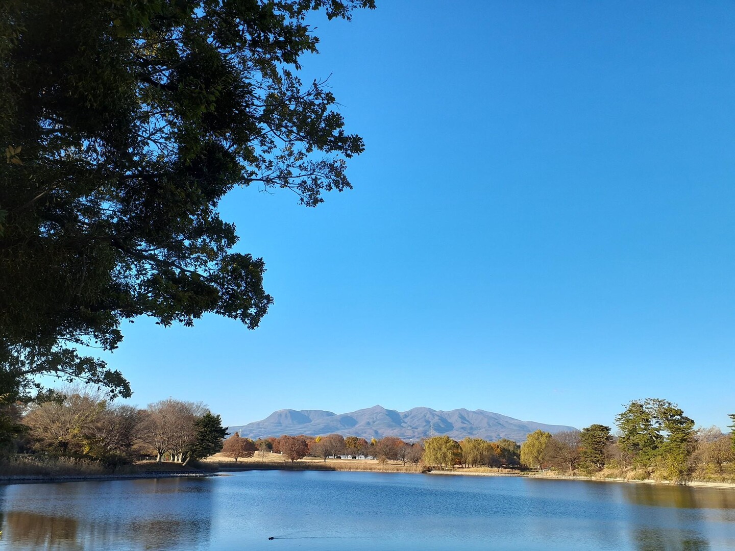 🐶散歩 代休そして絶好の登山日和なのに... / masaさんのモーメント | YAMAP / ヤマップ