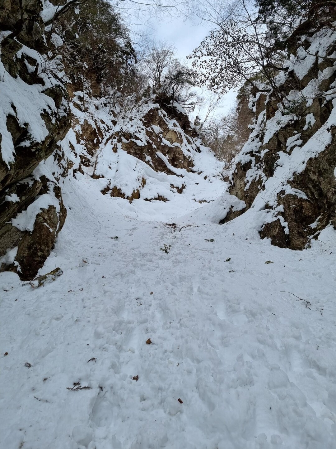 堂満岳第1ルンゼ～武奈ヶ岳周回 / TKGさんの比良山地・武奈ヶ岳・釈迦岳の活動データ | YAMAP / ヤマップ