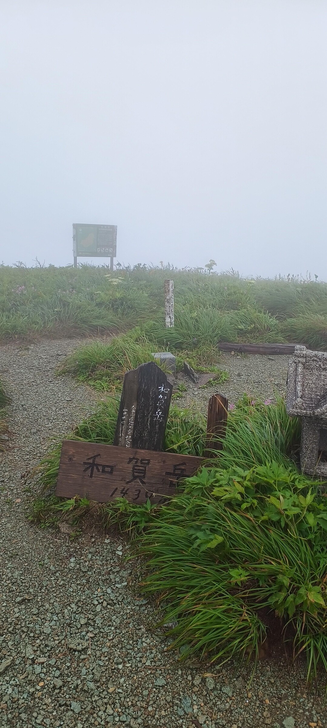 和賀岳 甘露水 / EMMAさんの和賀岳・薬師岳・高下岳の活動データ | YAMAP / ヤマップ