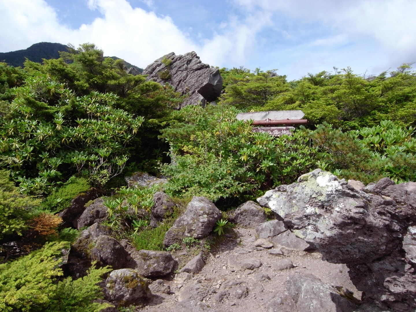 大河原峠より双子山・大岳・北横岳・亀甲池を周回 / kamonmonさんの蓼科山・横岳・縞枯山の活動データ | YAMAP / ヤマップ