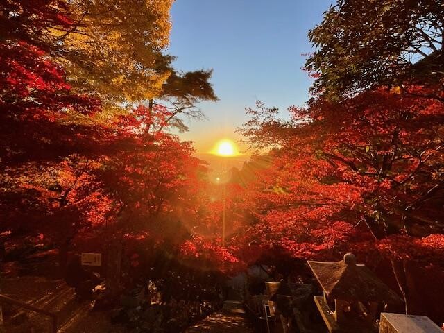 Amazfit T-Rex 3の使用感を確認＆下社へのお礼参り＆紅葉狩り / ともさんの大山の活動データ | YAMAP / ヤマップ