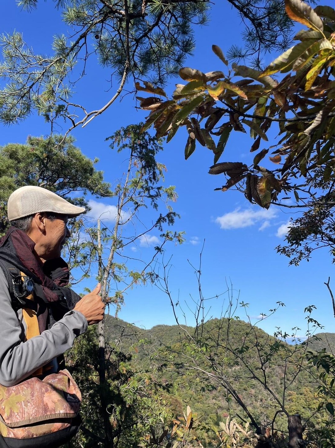 (281)東洞山(初)・北山(初)ピークハント二座🙋＋220P / Kazz1950さんの各務原アルプス（関南アルプス）・八木三山の活動データ | YAMAP / ヤマップ