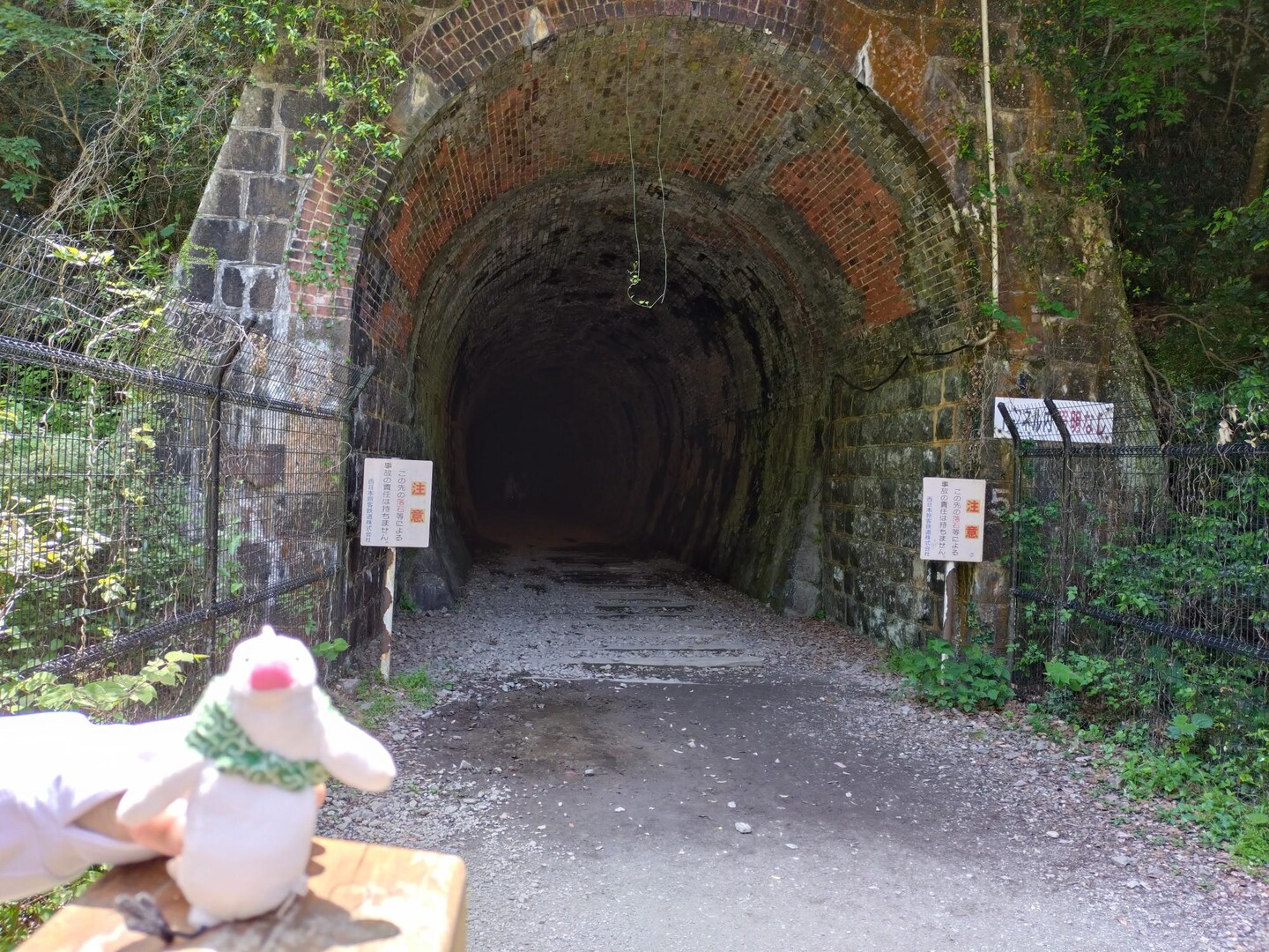 JR福知山線廃線敷ハイキング 🚶🚶 / monchan555さんの中山・大峰山の活動データ | YAMAP / ヤマップ