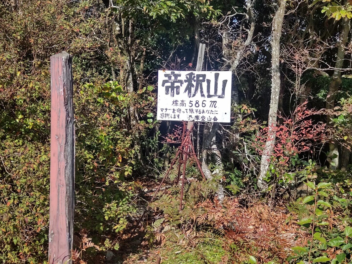 miyukyさんの投稿したフィールドメモ | YAMAP / ヤマップ