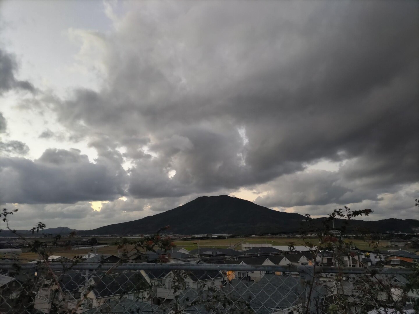 ランニング-2023-11-19 / Kazhiさんのランニングの活動データ | YAMAP / ヤマップ