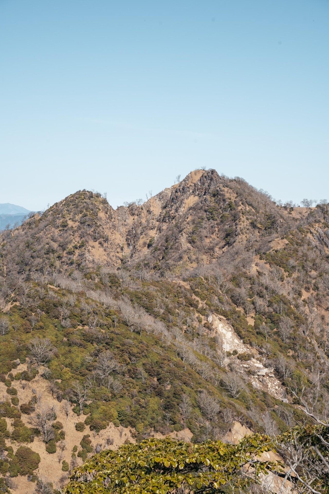 市房山・二ツ岩縦走 / YURIさんの市房山の活動データ | YAMAP / ヤマップ