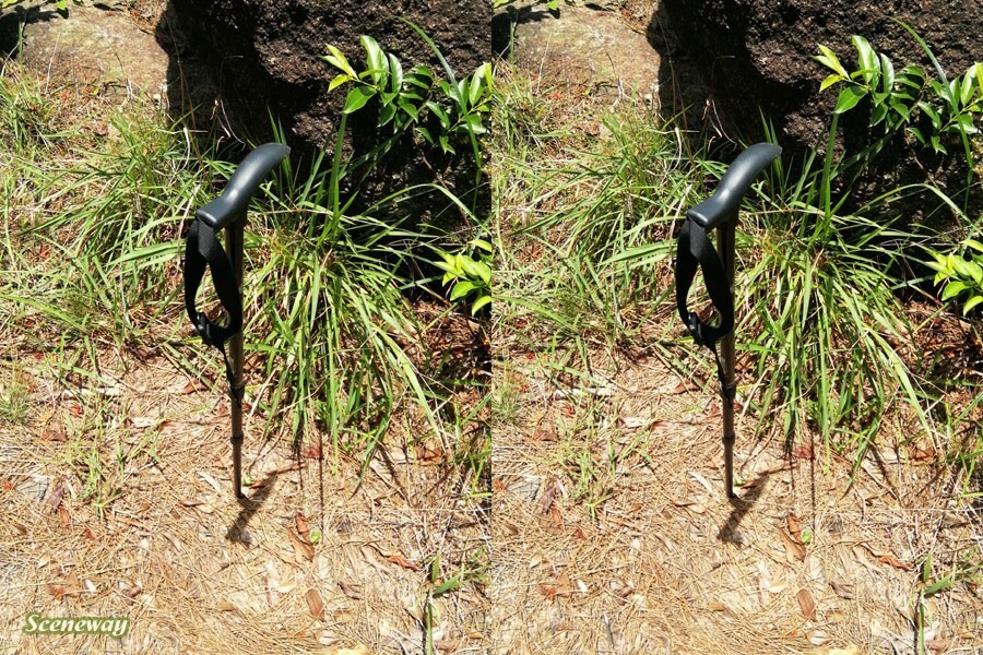 天頂の太陽・ラハイナヌーンの季節の白雲頂 / Scenewayさんの登山の活動日記 | YAMAP / ヤマップ