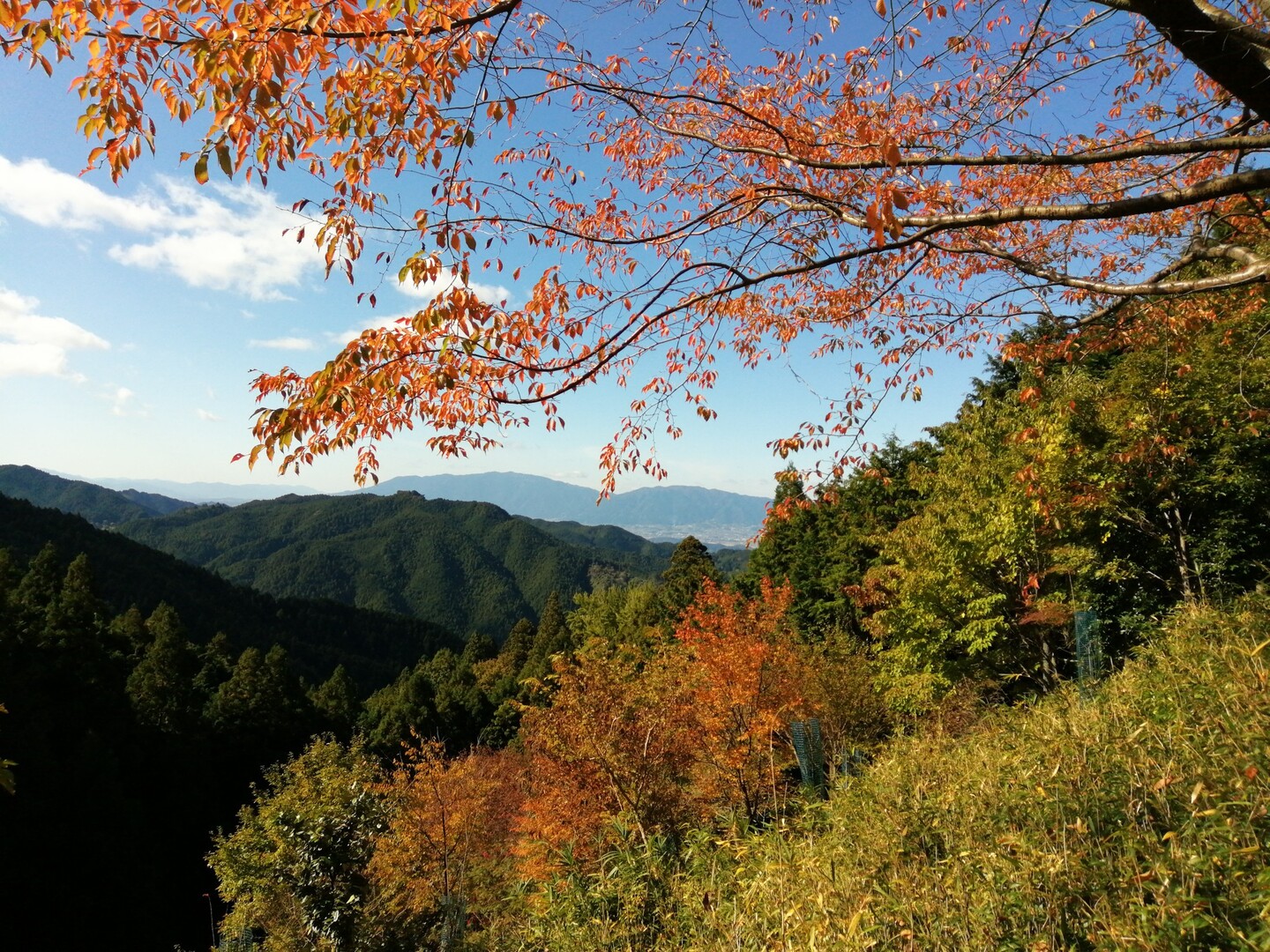 音羽三山 音羽山・経ヶ塚山・熊ヶ岳縦走 / Scenewayさんの音羽山・竜門岳（龍門岳）・熊ヶ岳の活動データ | YAMAP / ヤマップ