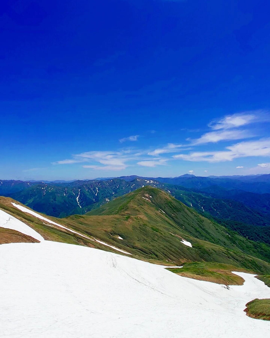 巻機山・割引岳・金城山-2023-06-17 / toko🗻さんの巻機山・割引岳・金城山の活動データ | YAMAP / ヤマップ