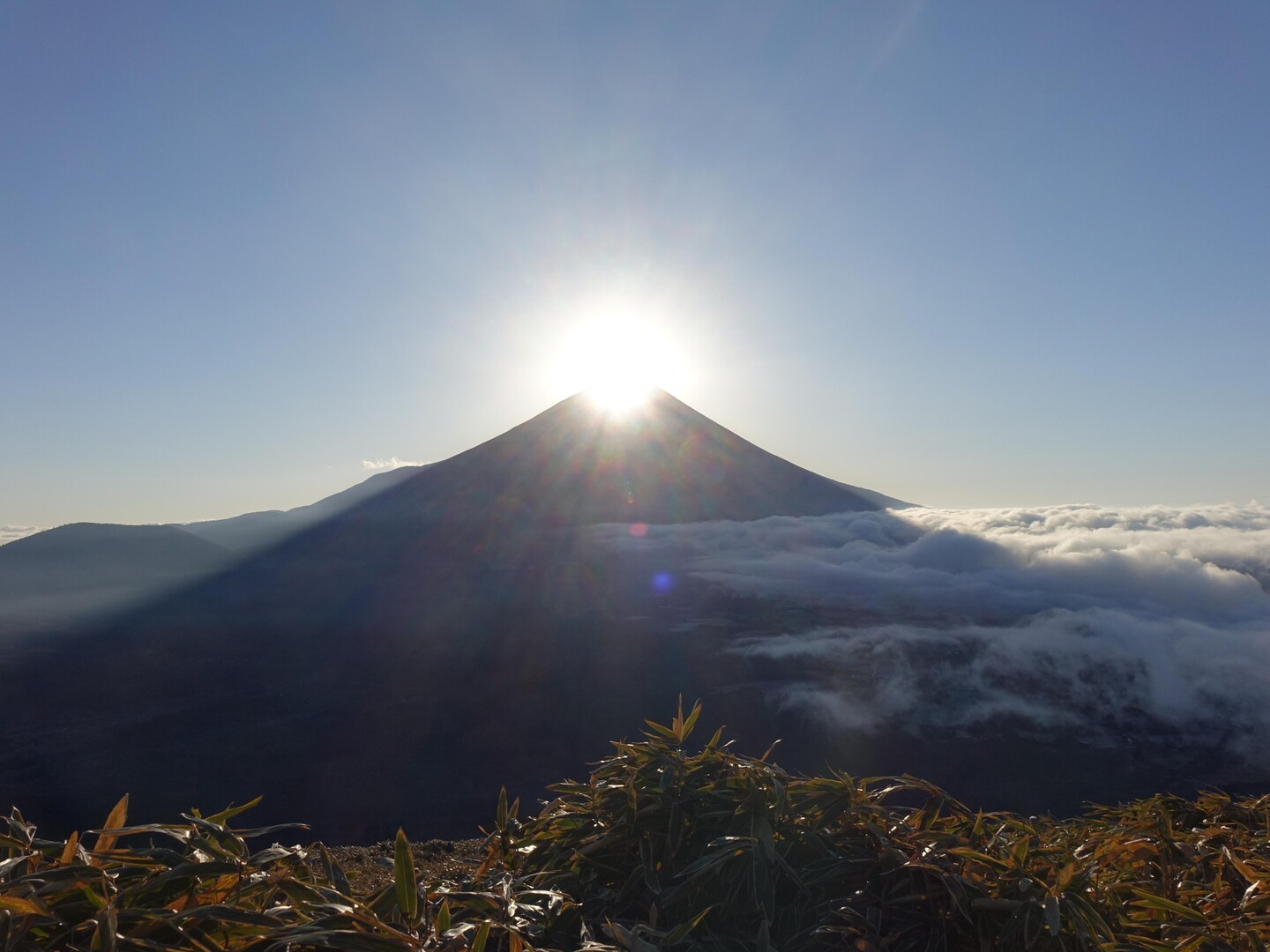 今年も絶景 ダイヤモンド富士💎 御来光🌄 竜ヶ岳🐉 / Homanさんの毛無山・雨ヶ岳・竜ヶ岳の活動データ | YAMAP / ヤマップ