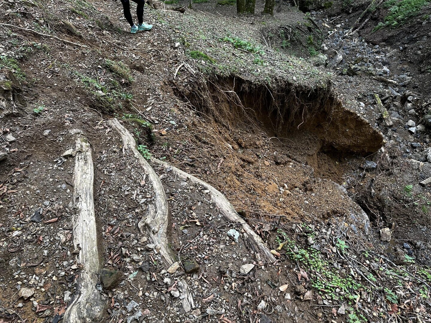 podoryさんの投稿したフィールドメモ | YAMAP / ヤマップ