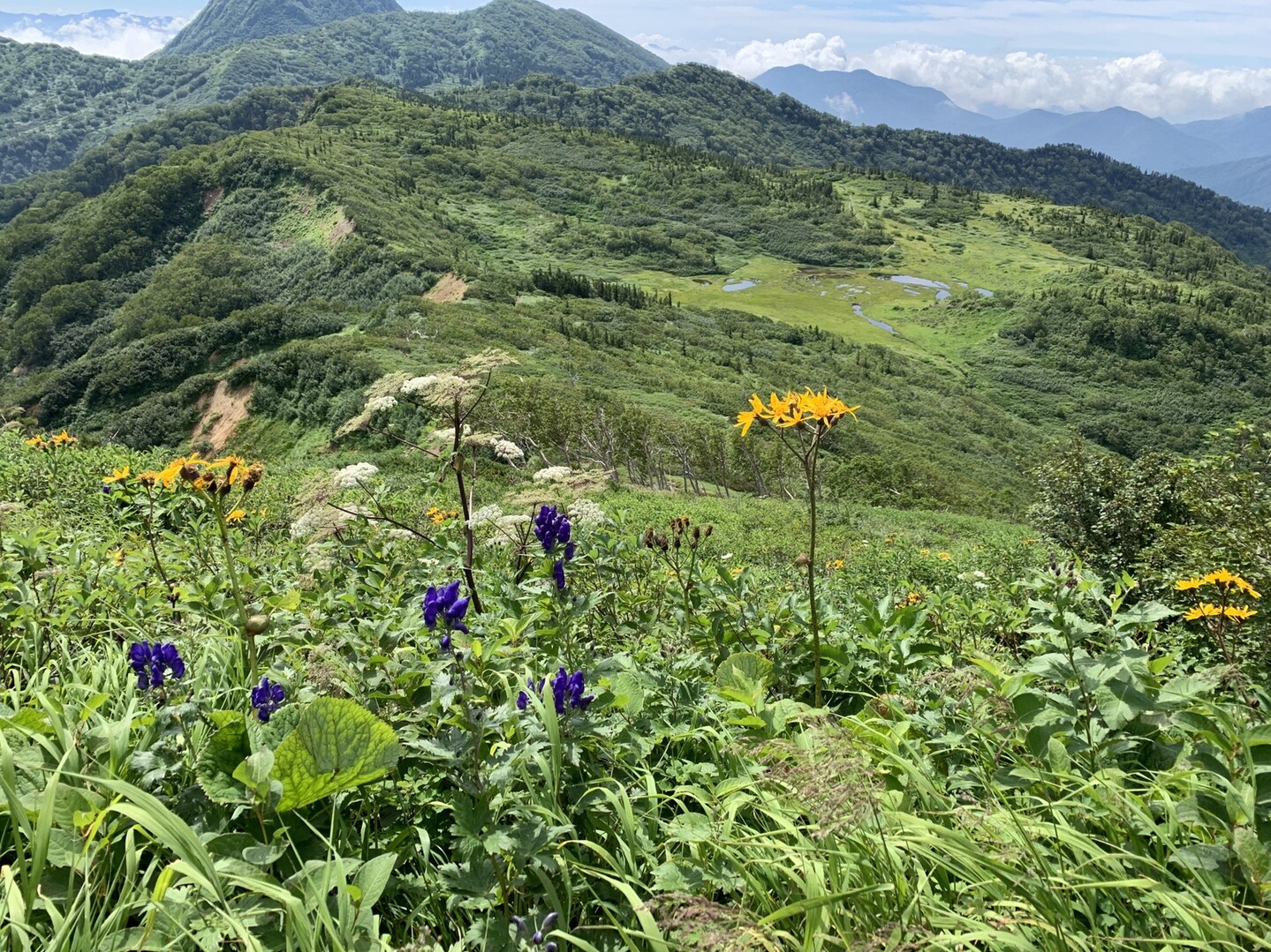 火打山・妙高山 / SABoさんの妙高山・火打山の活動データ | YAMAP / ヤマップ