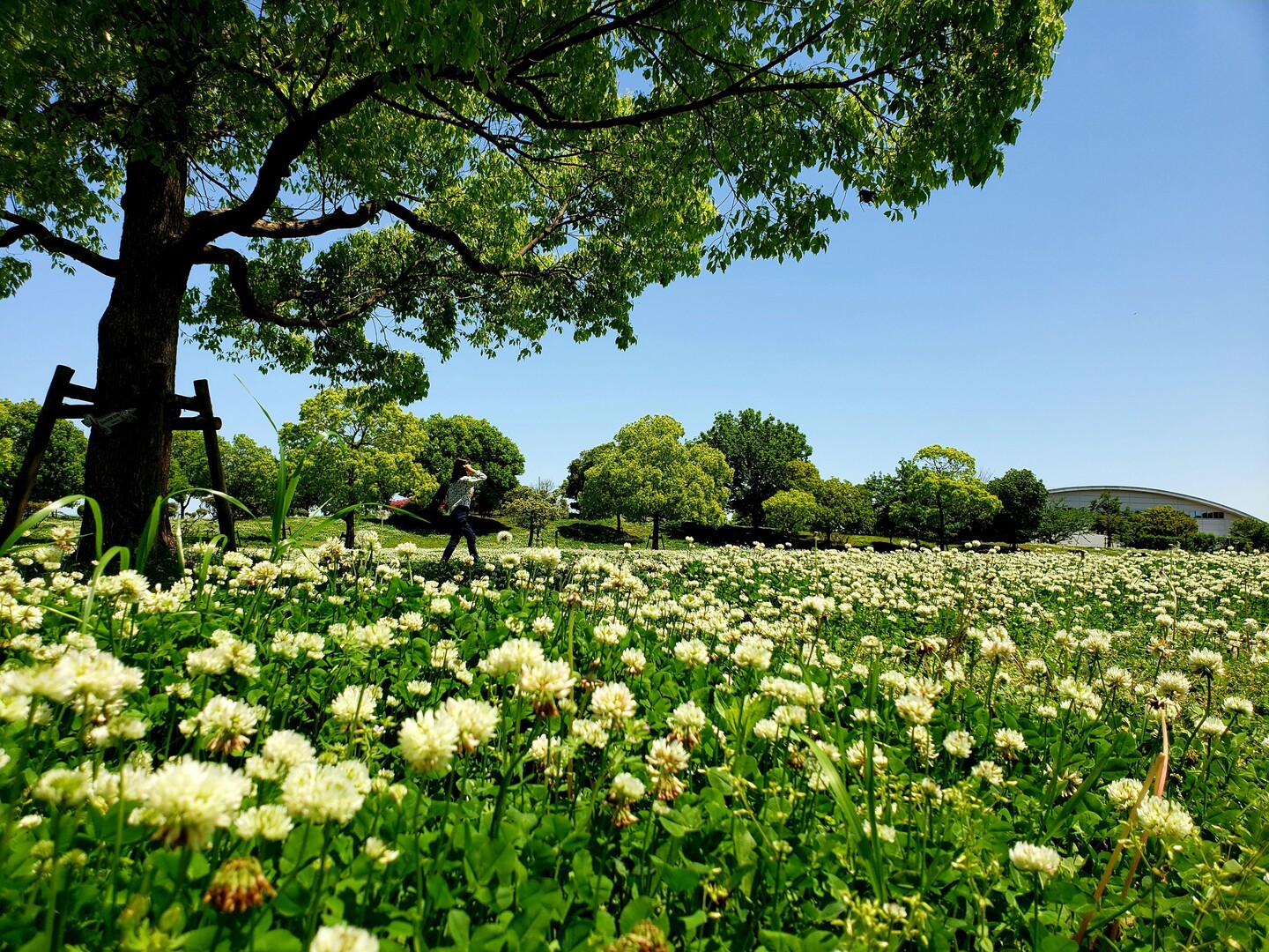 初夏の色 / Kombatさんのモーメント | YAMAP / ヤマップ