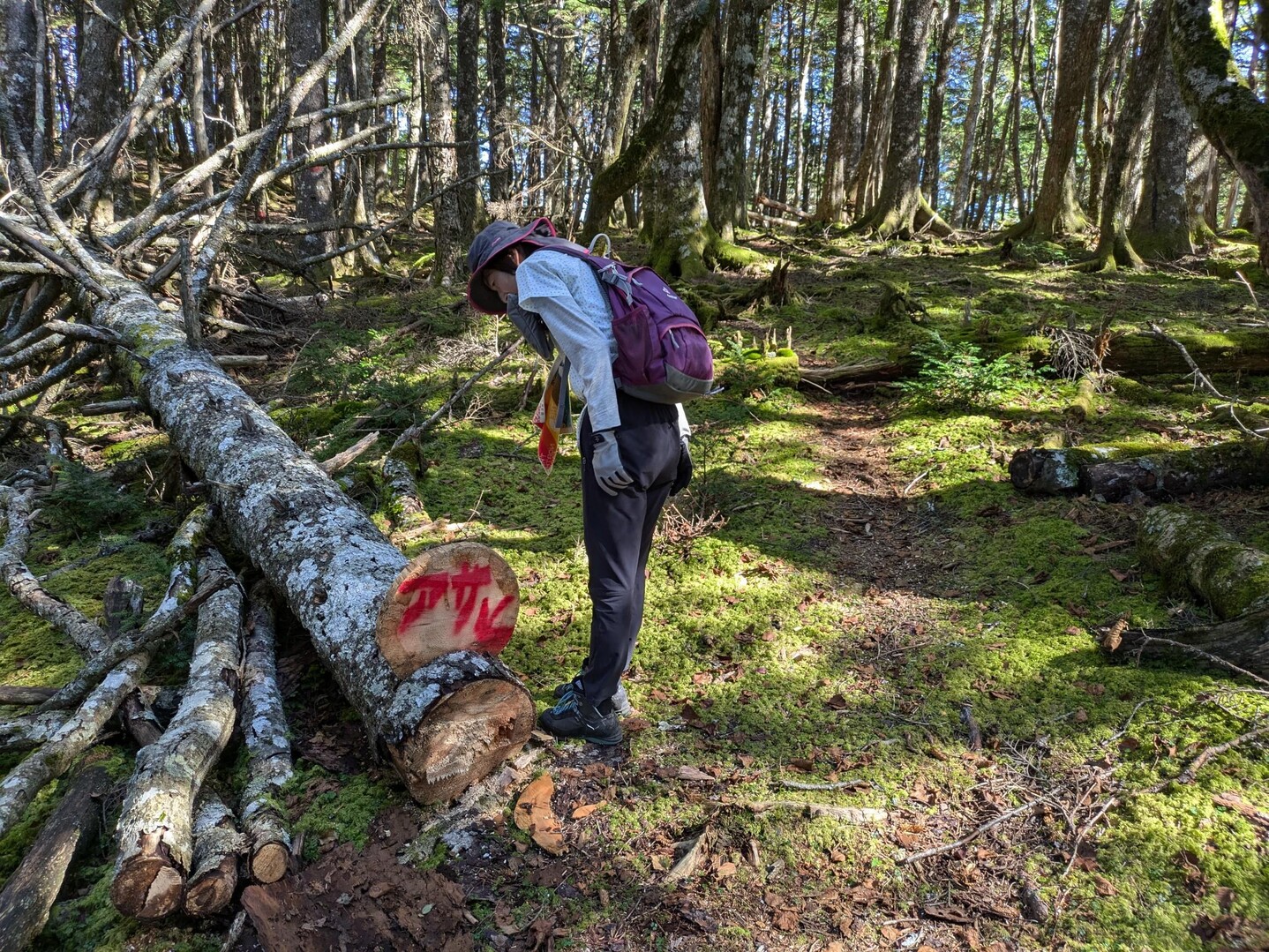 朝日岳 / kontomoさんの朝日岳の活動日記 | YAMAP / ヤマップ