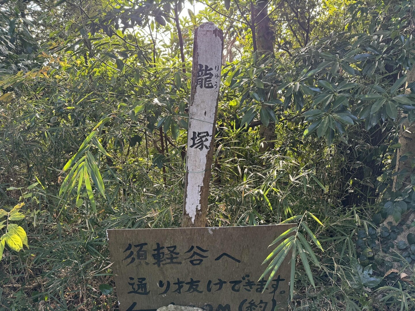 hanaさんの投稿したフィールドメモ | YAMAP / ヤマップ