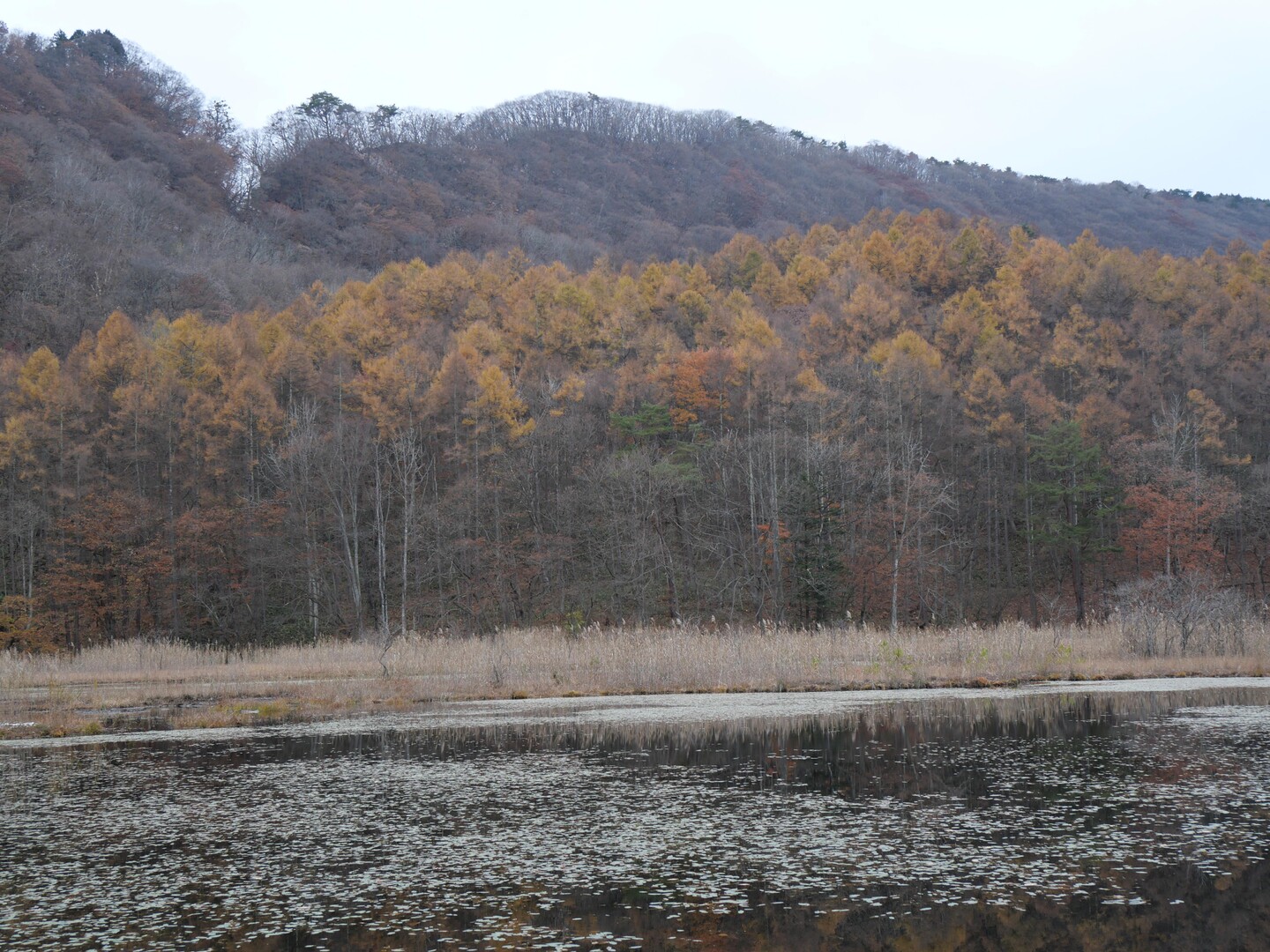 吾妻耶山・大峰山 / s-kobaさんの吾妻耶山・大峰山の活動データ | YAMAP / ヤマップ