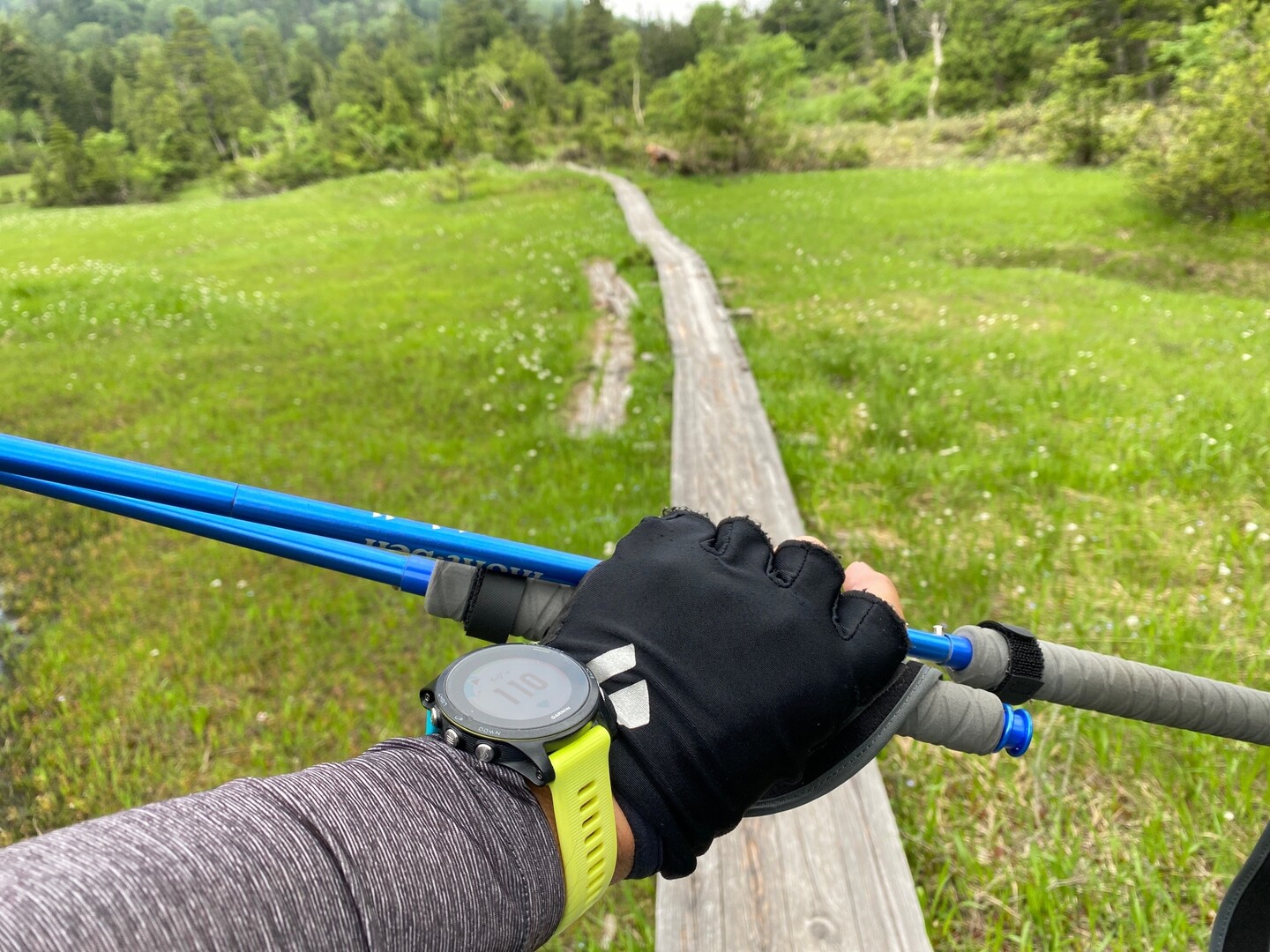 尾瀬1日目 御池〜三条の滝〜見晴 / Bull&Umiさんのウォーキングの活動データ | YAMAP / ヤマップ