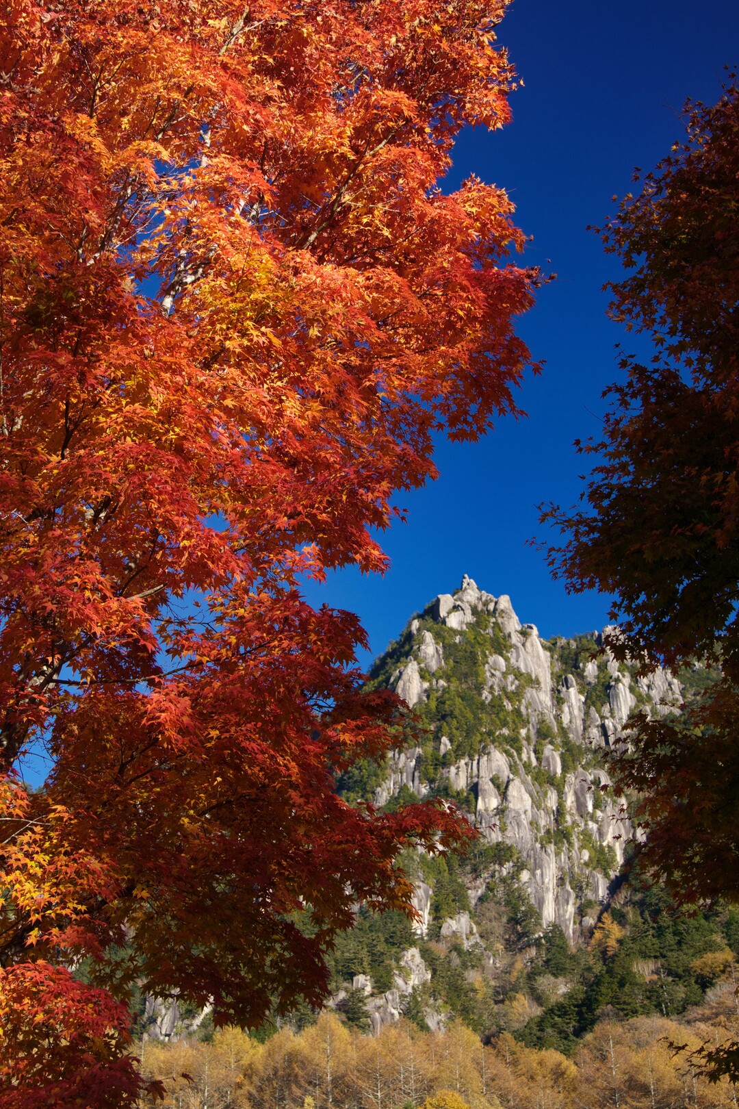 みずがき湖周辺紅葉サイクリング / ルックルックさんの瑞牆山・金峰山の活動日記 | YAMAP / ヤマップ