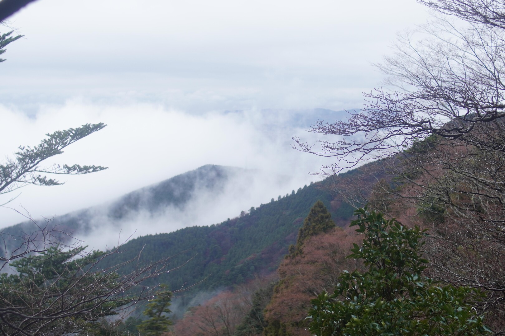 霧の大山 / Jason moofangさんの大山の活動データ | YAMAP / ヤマップ