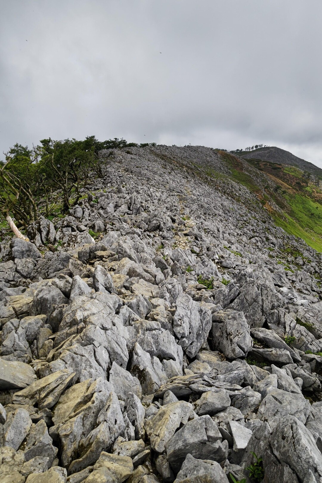 爆汗💦滝汗💦 汗💦💦の…南霊岳・霊仙山最高点・霊仙山・経塚山 / cocataさんの霊仙山の活動データ | YAMAP / ヤマップ