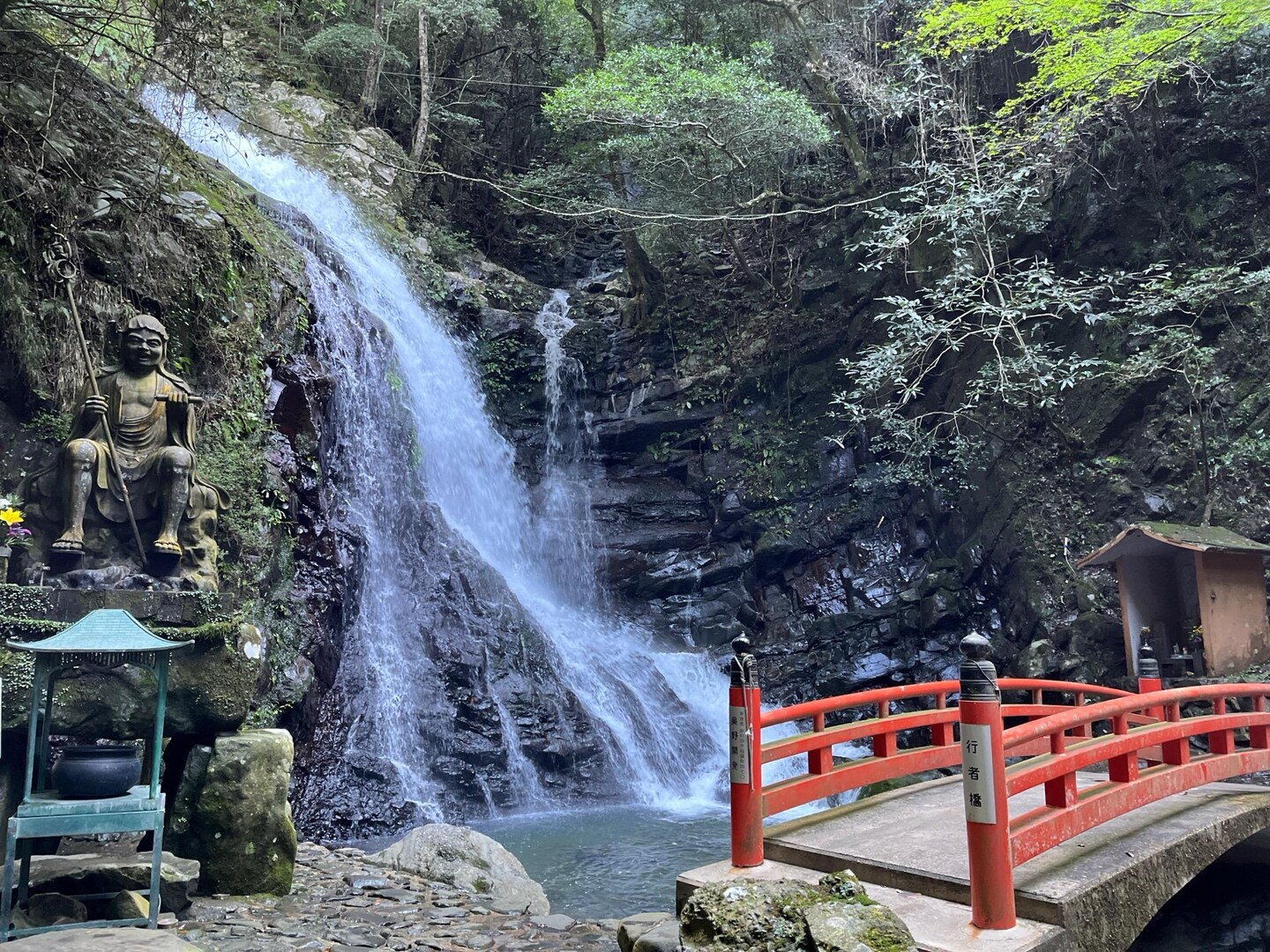 犬鳴山・五本松-2024-11-03 / RSKさんの槇尾山（槙尾山）・和泉葛城山・神於山の活動データ | YAMAP / ヤマップ