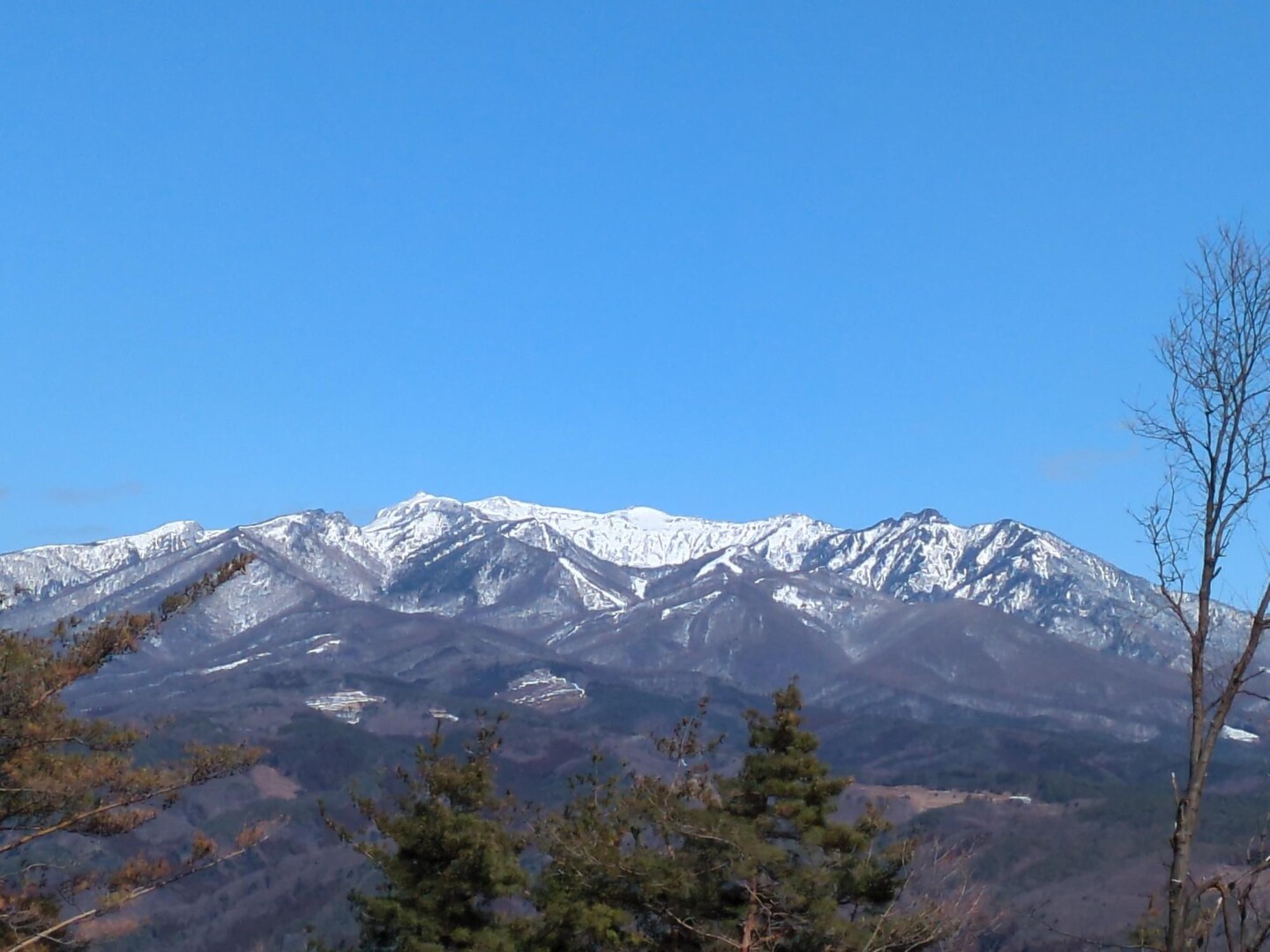 戸神山・高王山 / reoさんの戸神山・高王山の活動データ | YAMAP / ヤマップ