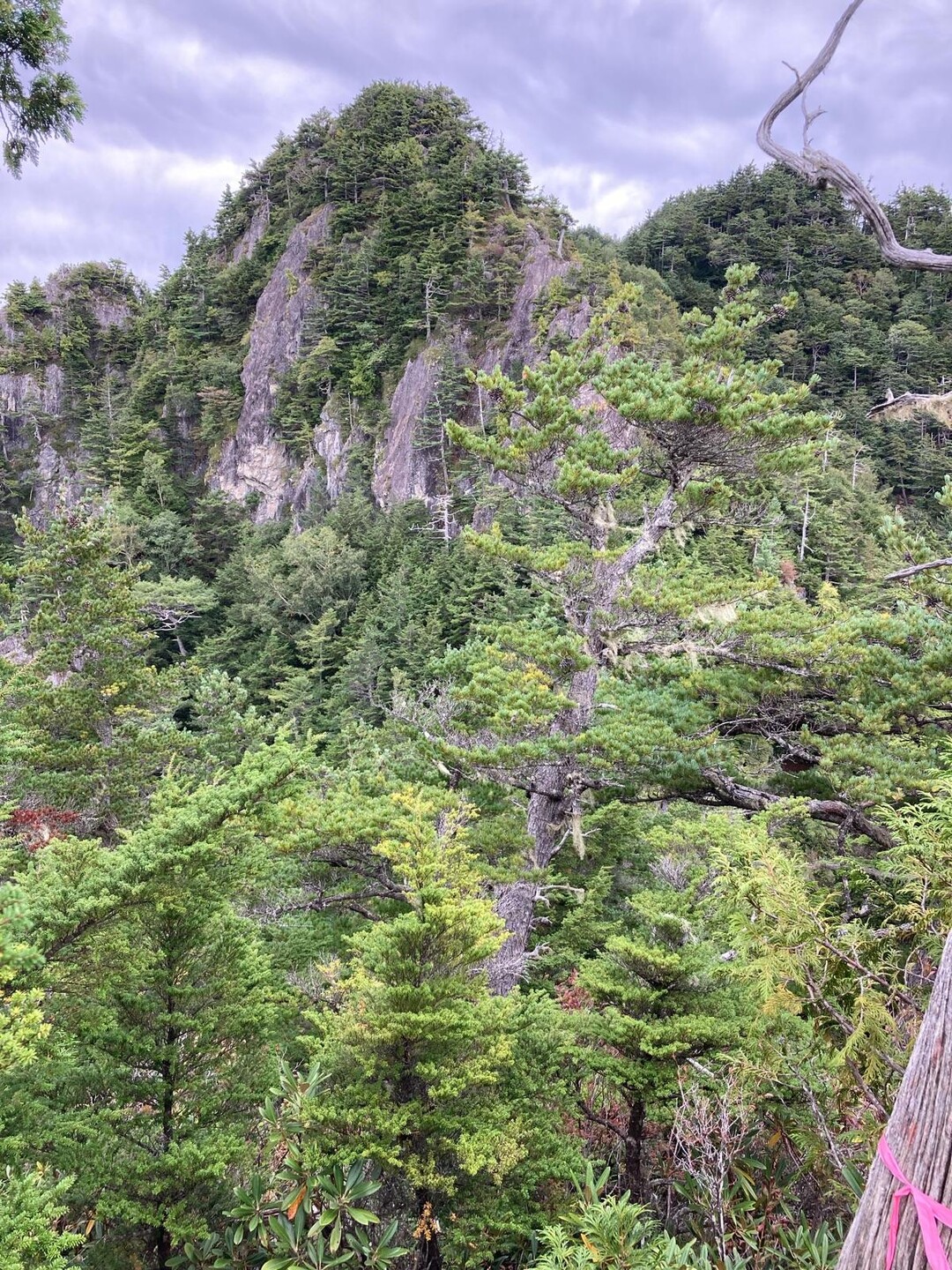 巻かないで鶏冠山、からの甲武信ヶ岳 / pagdoggyさんの甲武信ヶ岳の活動日記 | YAMAP / ヤマップ