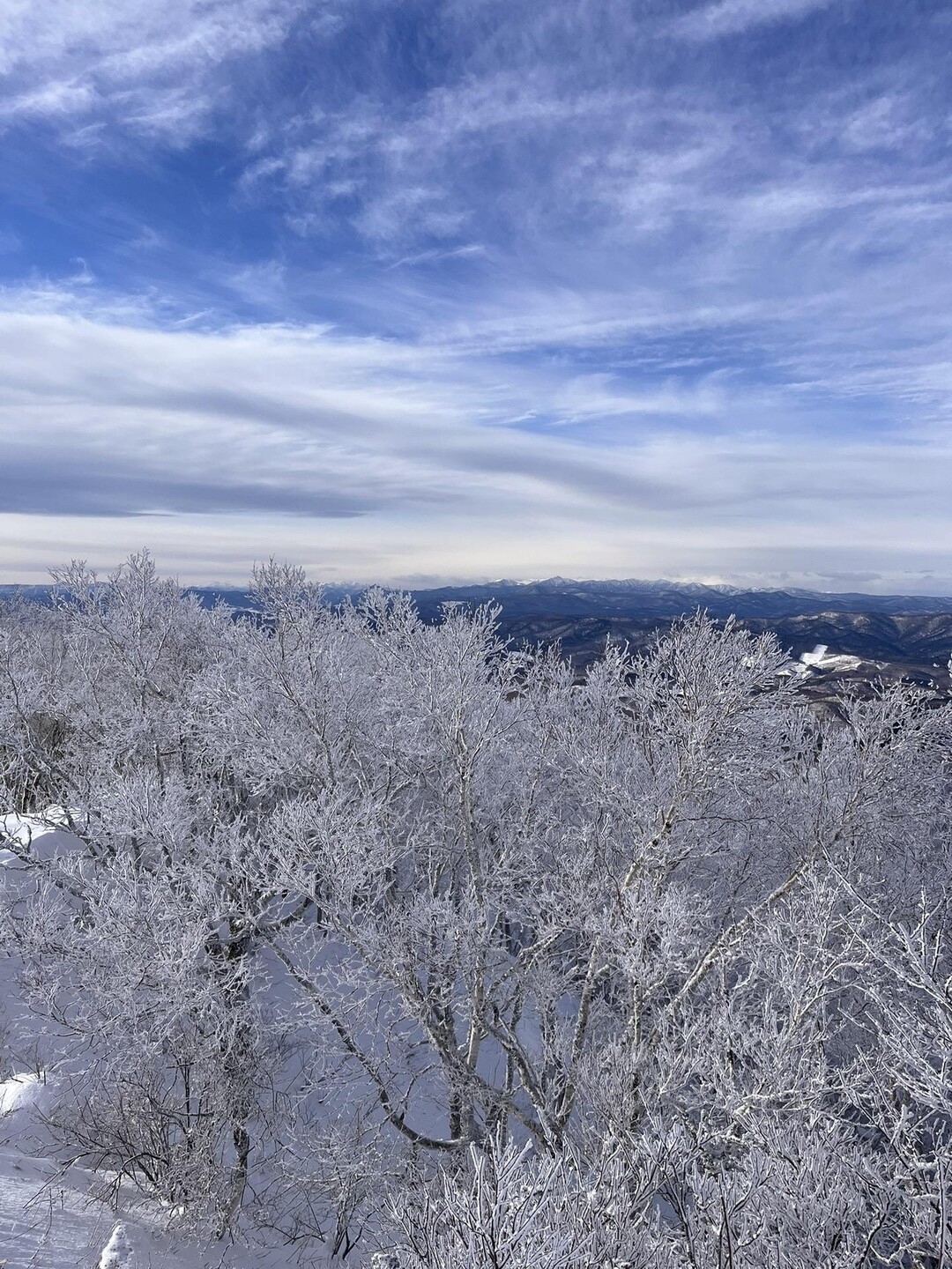 仁頃山 / zect (ゼクト)さんの仁頃山の活動データ | YAMAP / ヤマップ