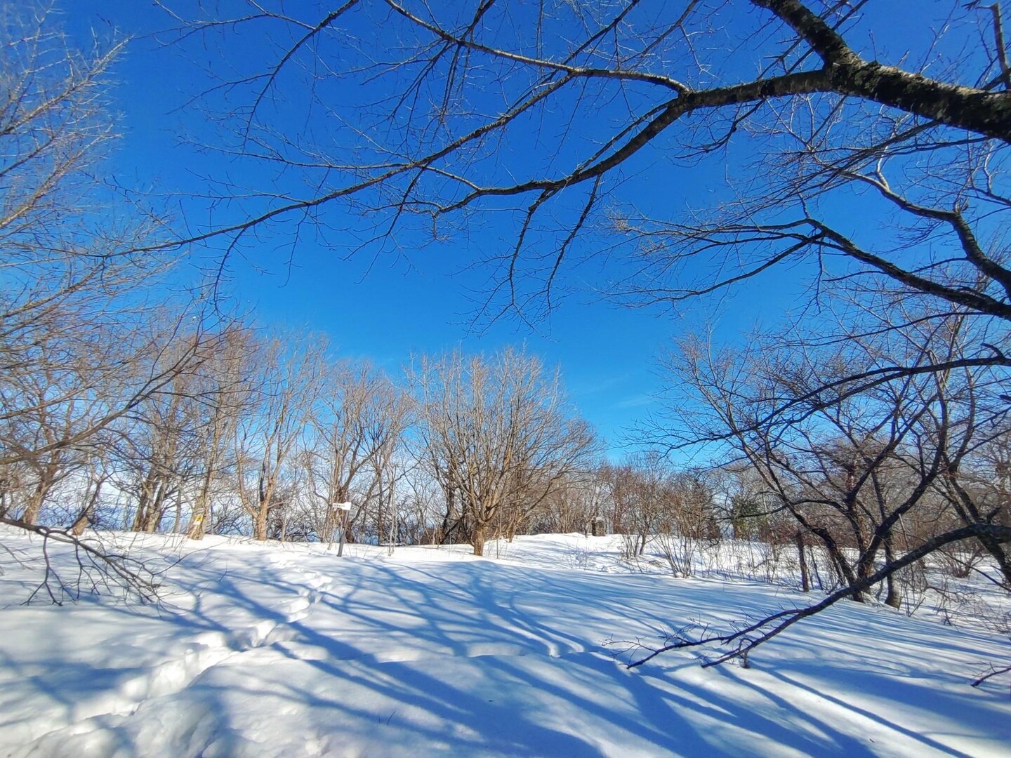 登り納め角田山 / P-kanさんの角田山の活動データ | YAMAP / ヤマップ