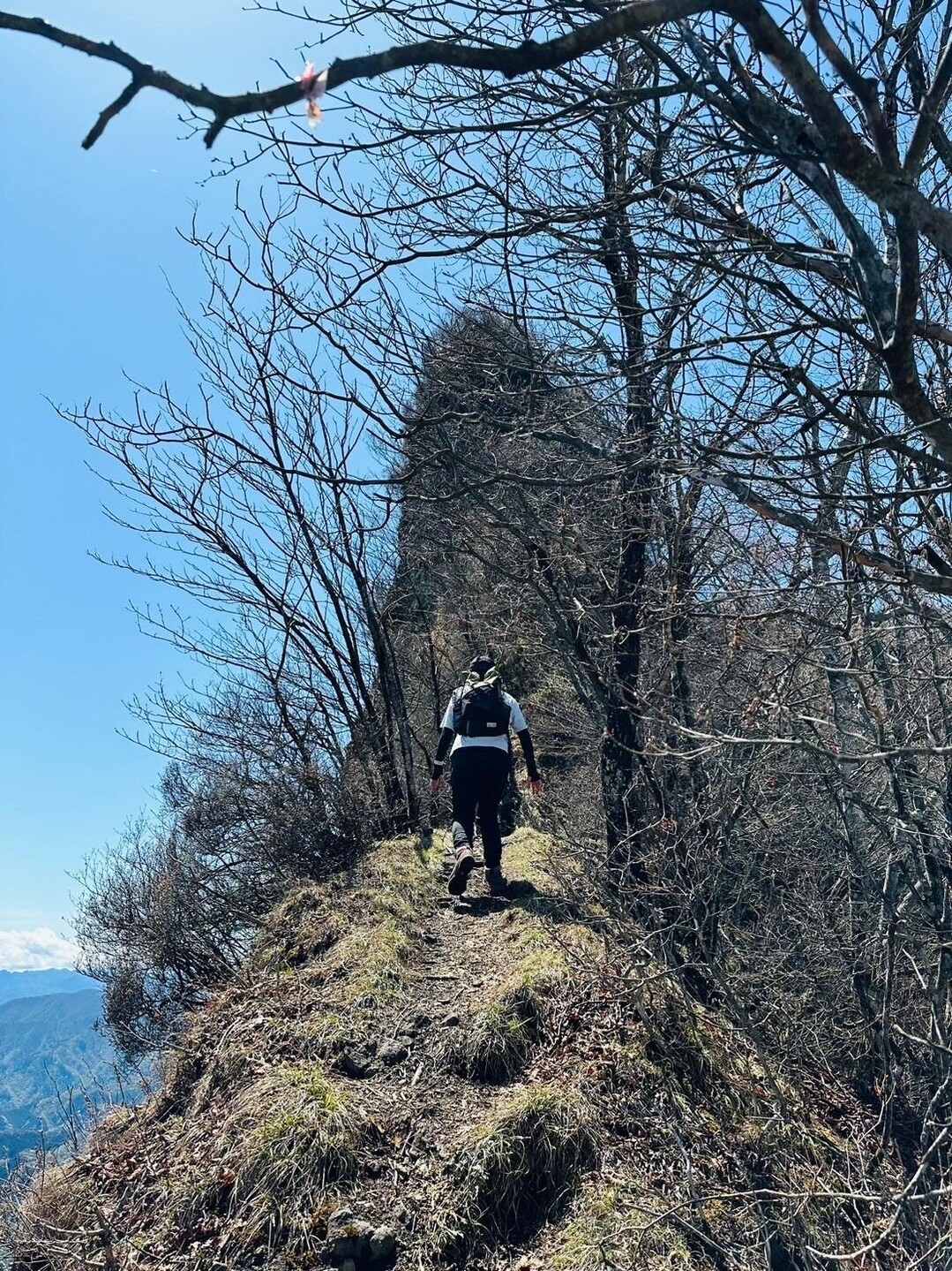 尾根歩きが楽しすぎる兜岩山♪ / kakoさんの荒船山・物語山・大屋山の活動データ | YAMAP / ヤマップ